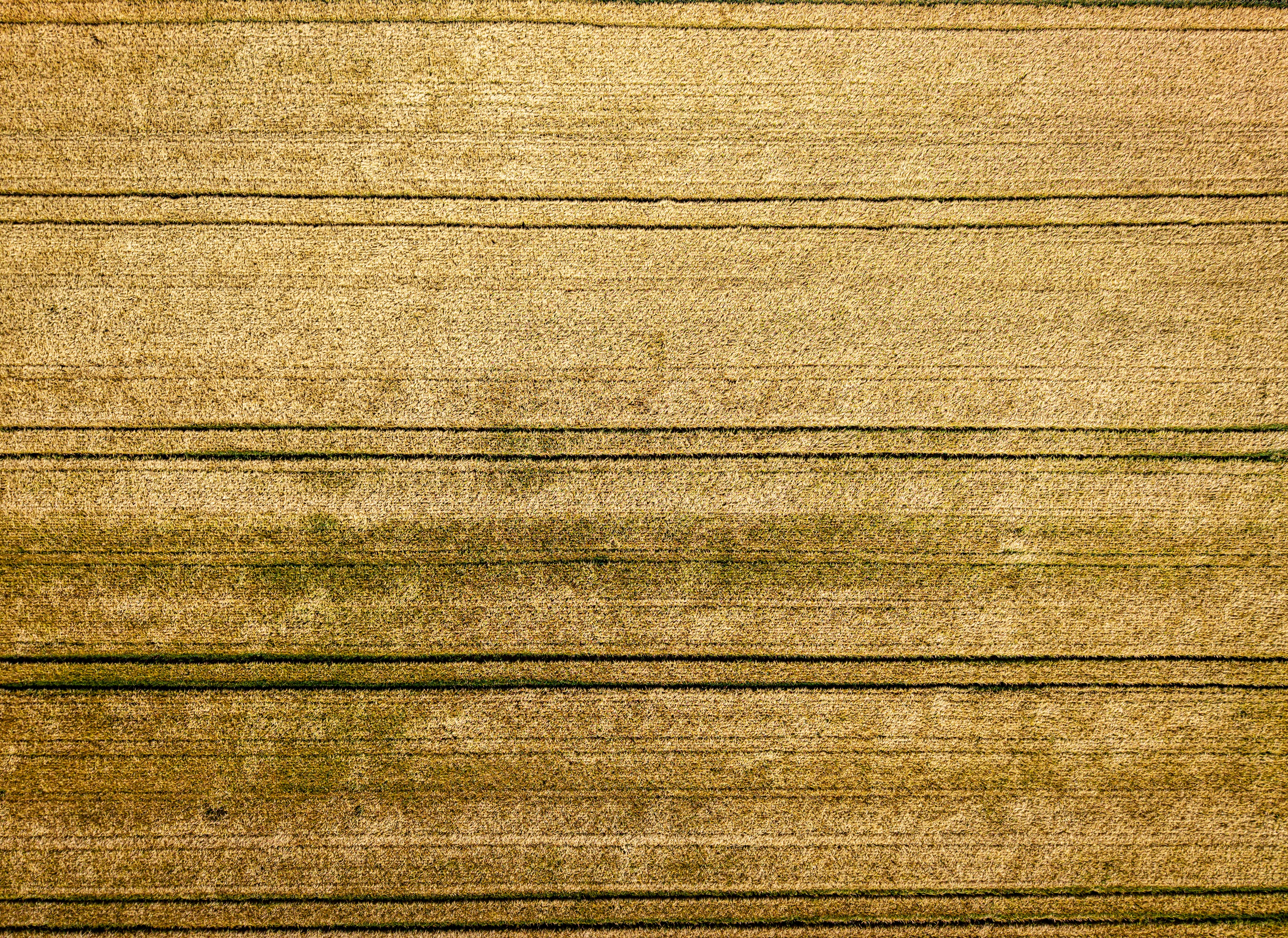 Parallel Harvest: An Aerial View of Plowed Fields