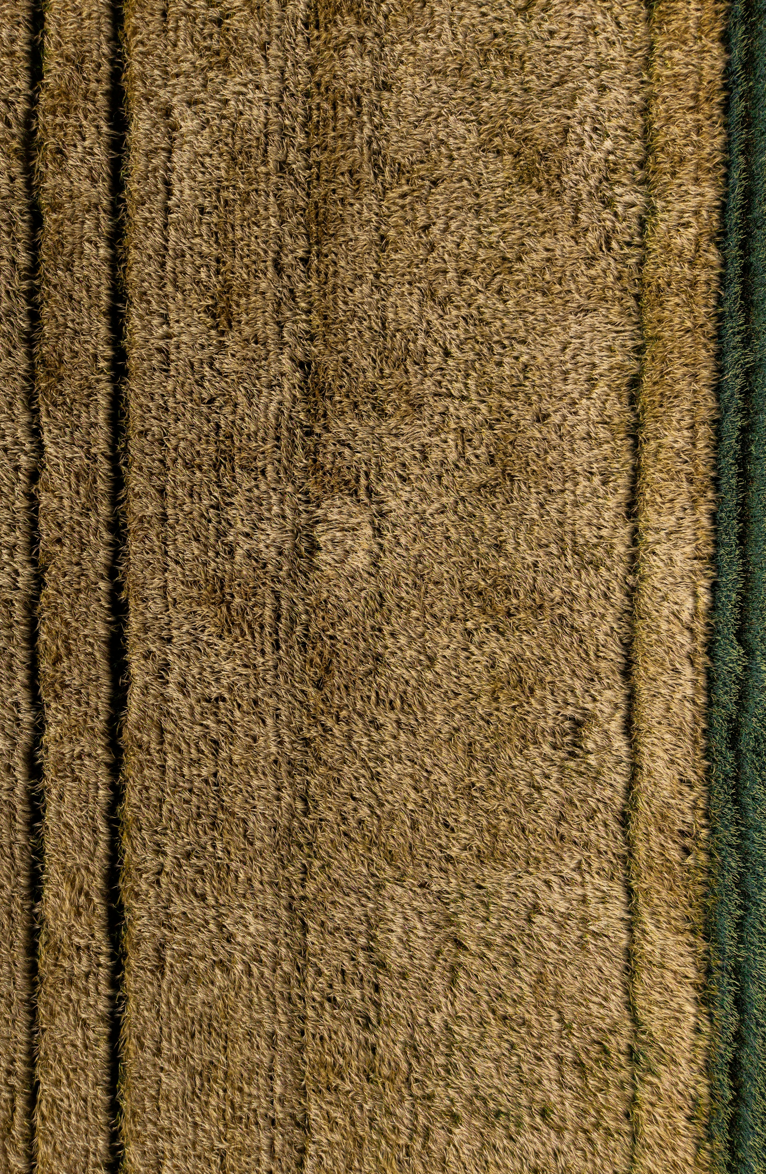 Weathered Planks: A Close-Up of Time in Wood Grain