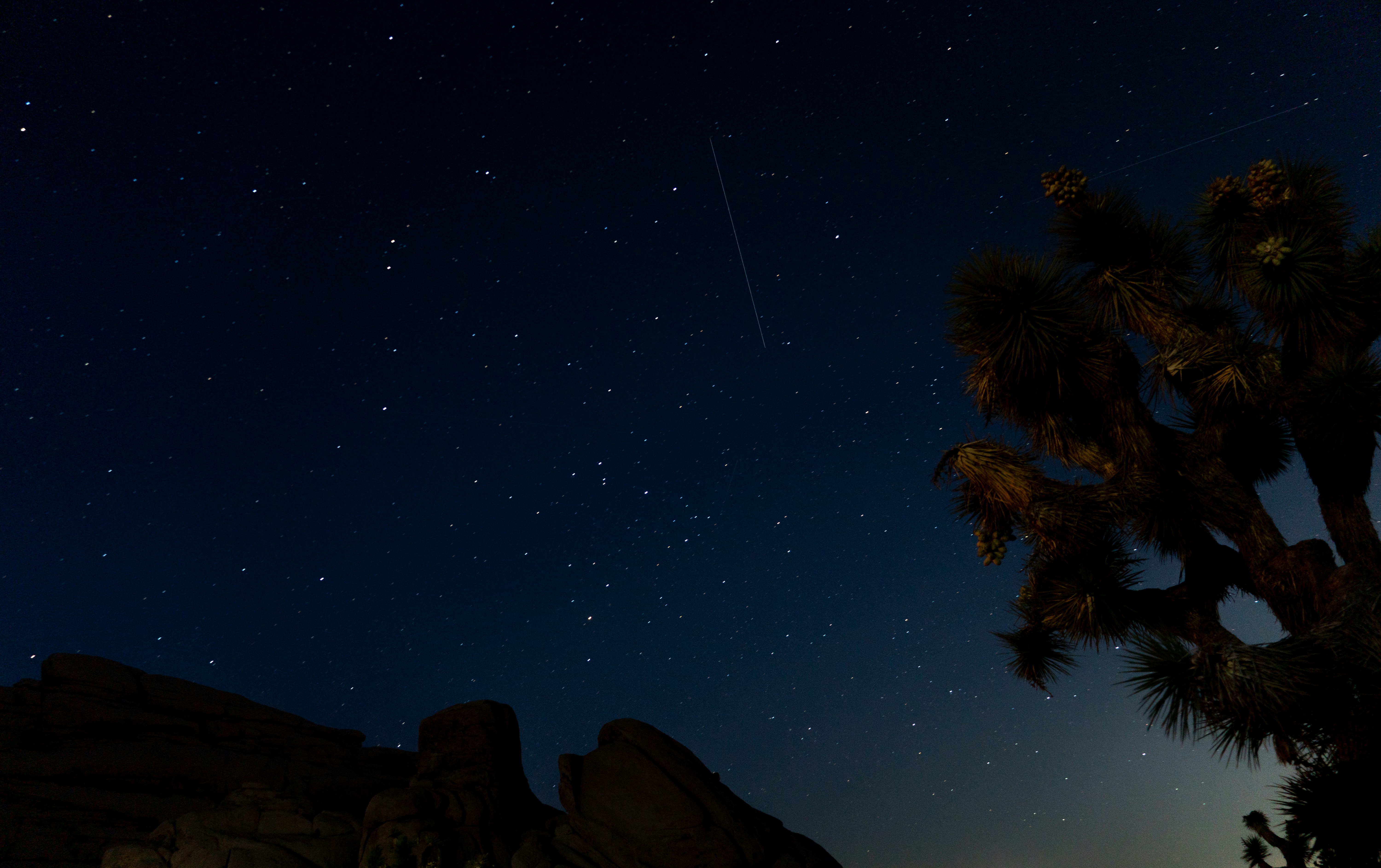 Stellar Drift: A Meteor Slices Through a Quiet Desert Sky