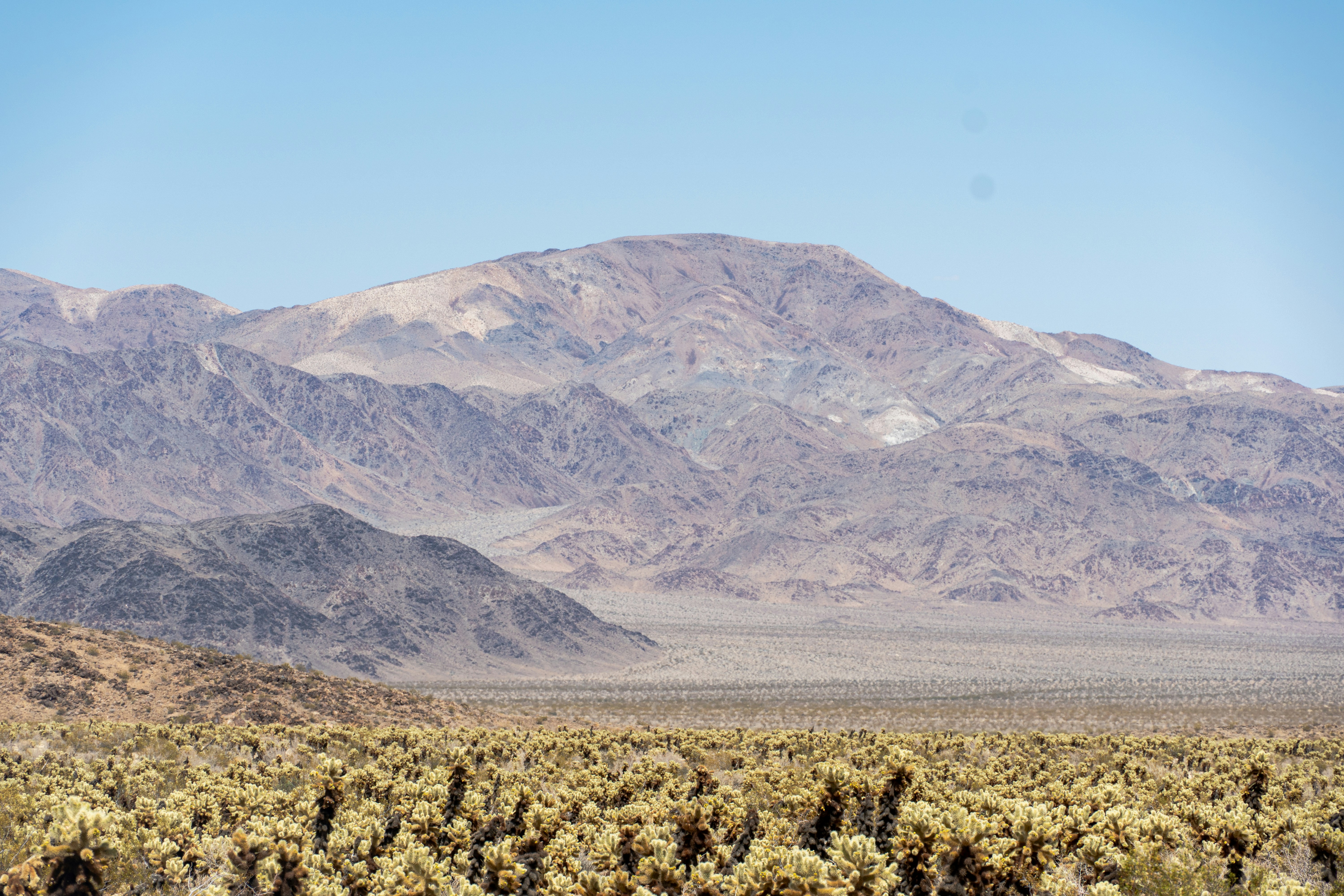 Desert Ridge: Quiet Monochrome of Distant Mountains
