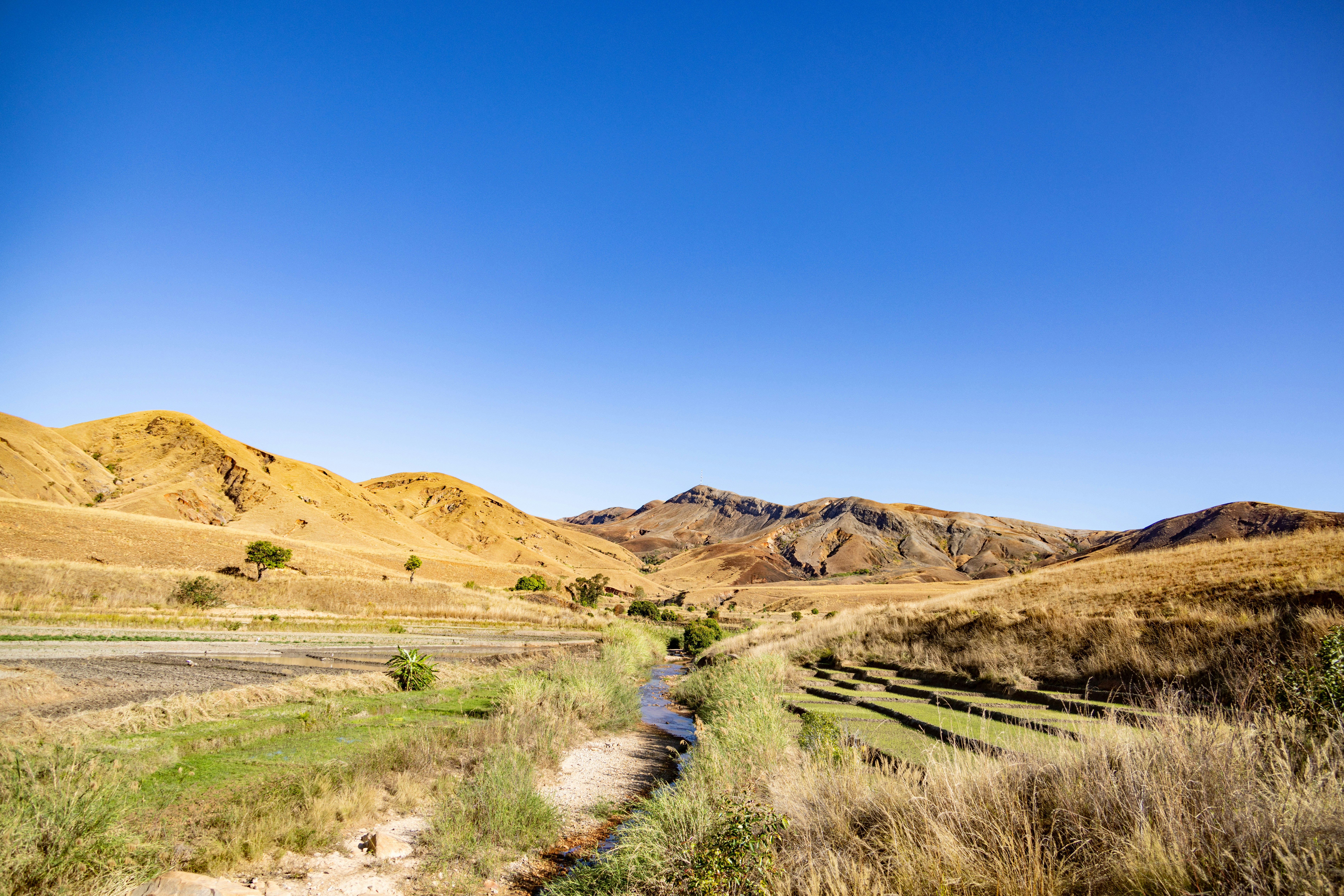 Desert Riverbend: A Quiet Path Through Golden Hills