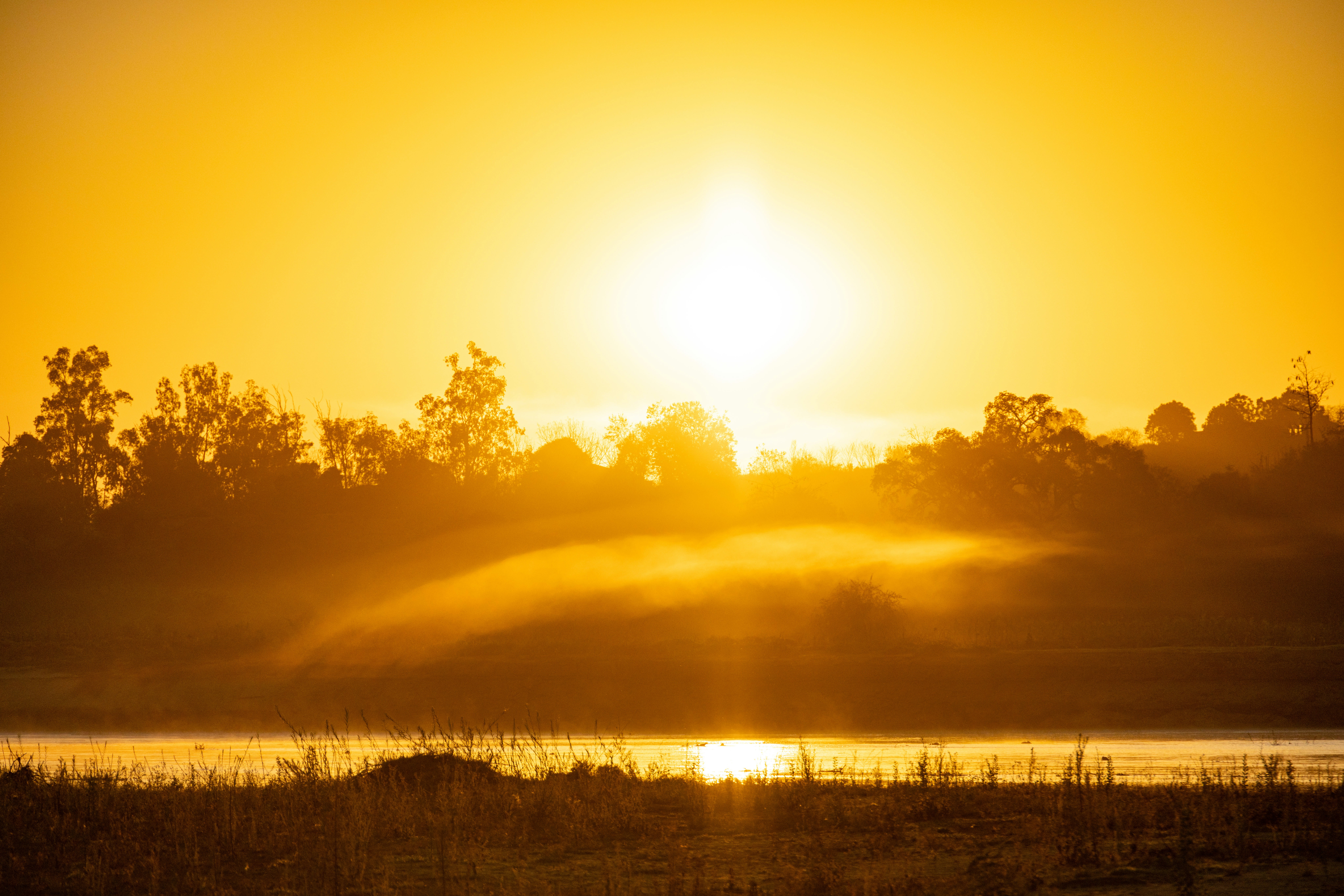 Golden Wake: A Shimmering Horizon at Sunrise