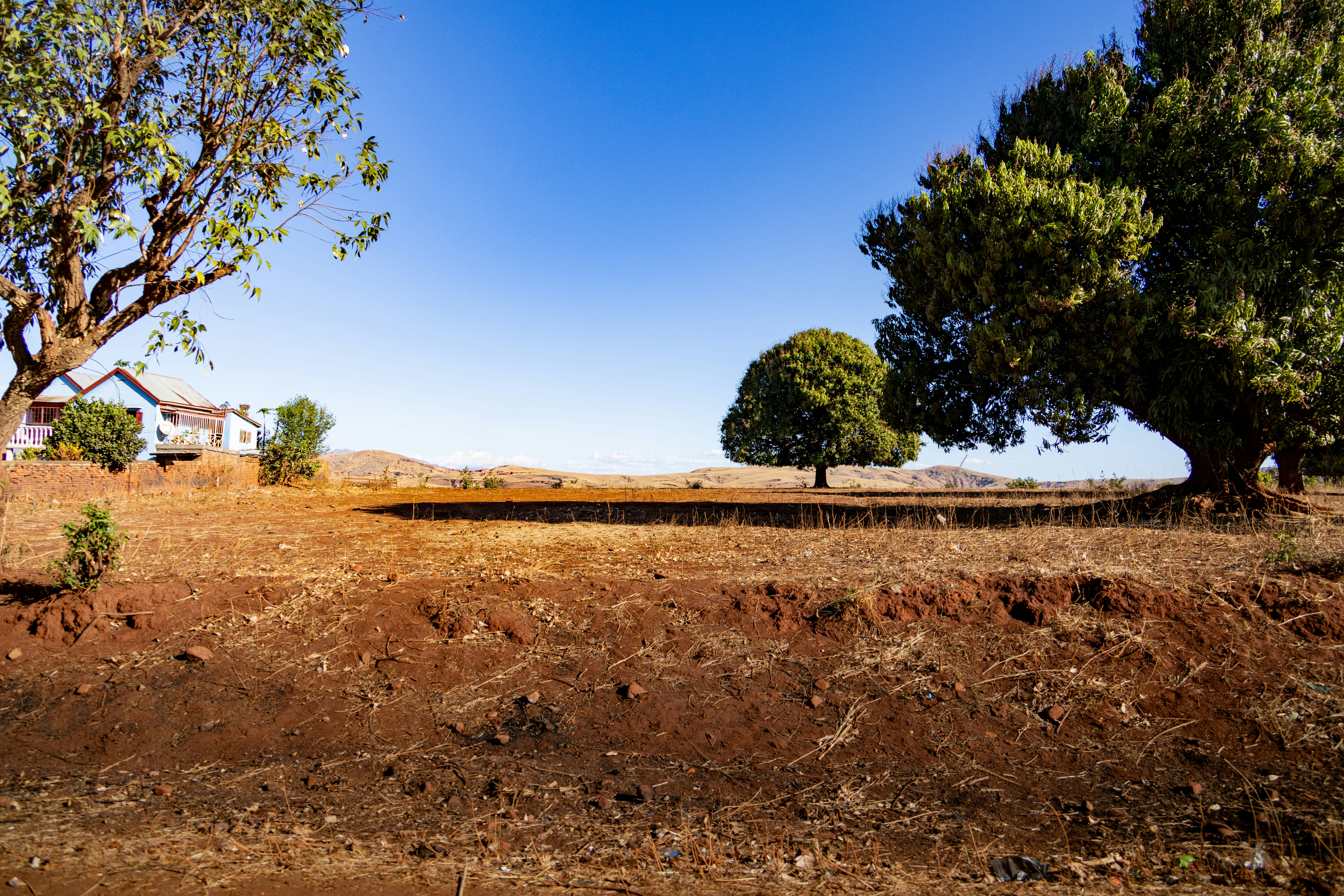 Deserted terrace beneath a tree-lined horizon