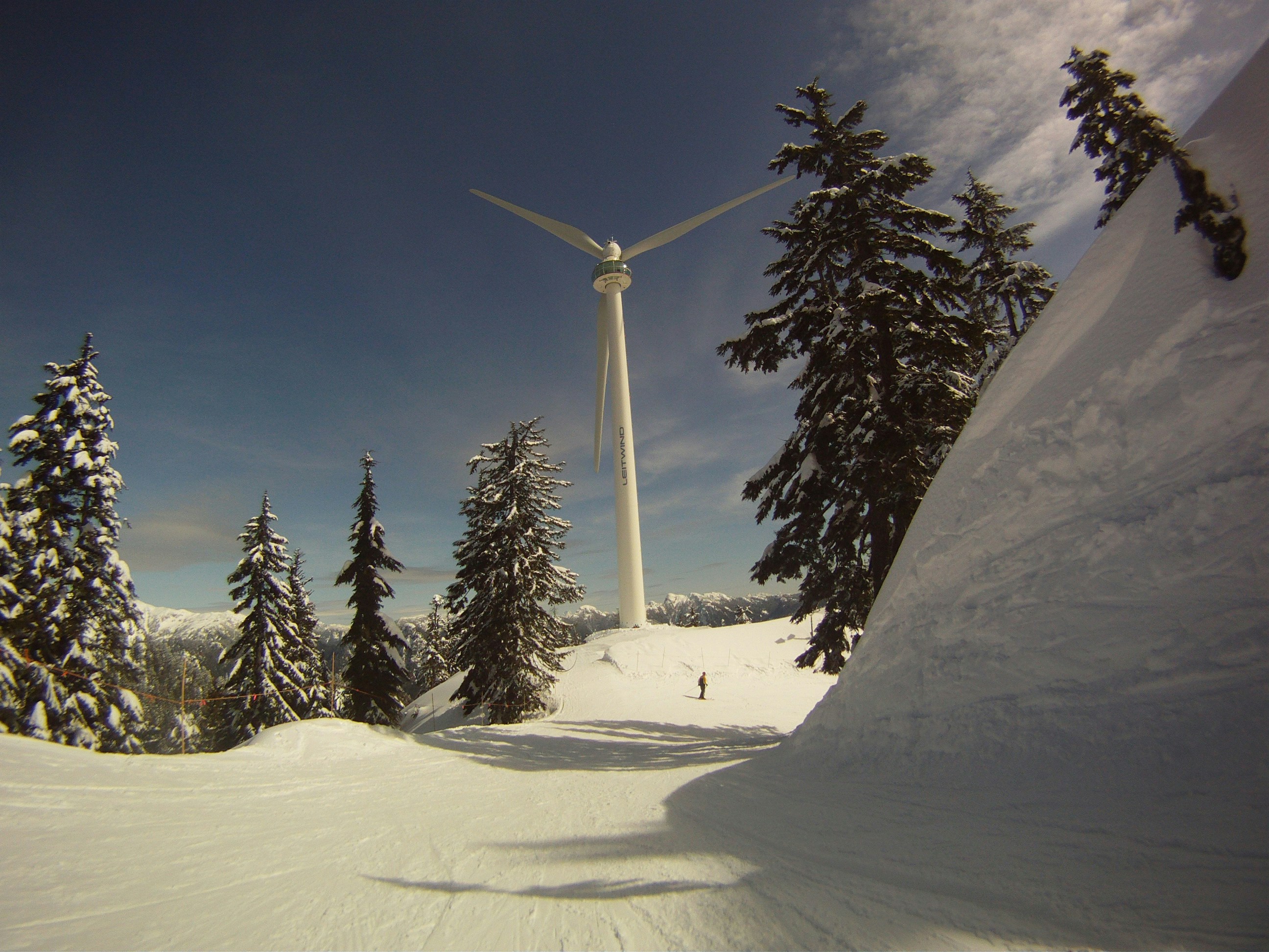 Snowbound Wind Farm: A Lone Turbine Amid Alpine Pines