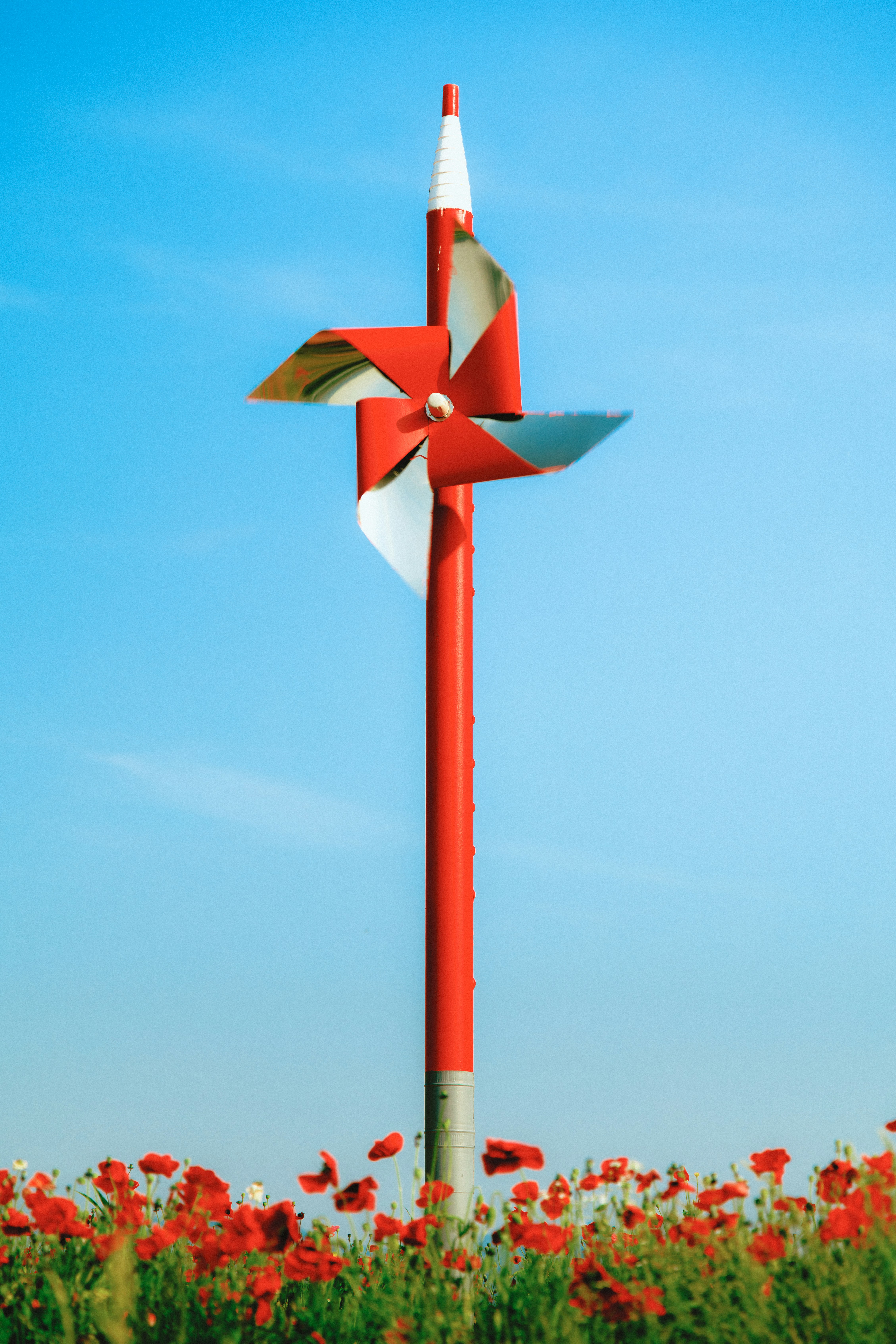 Large red pinwheel against blue sky, surrounded by poppies.
