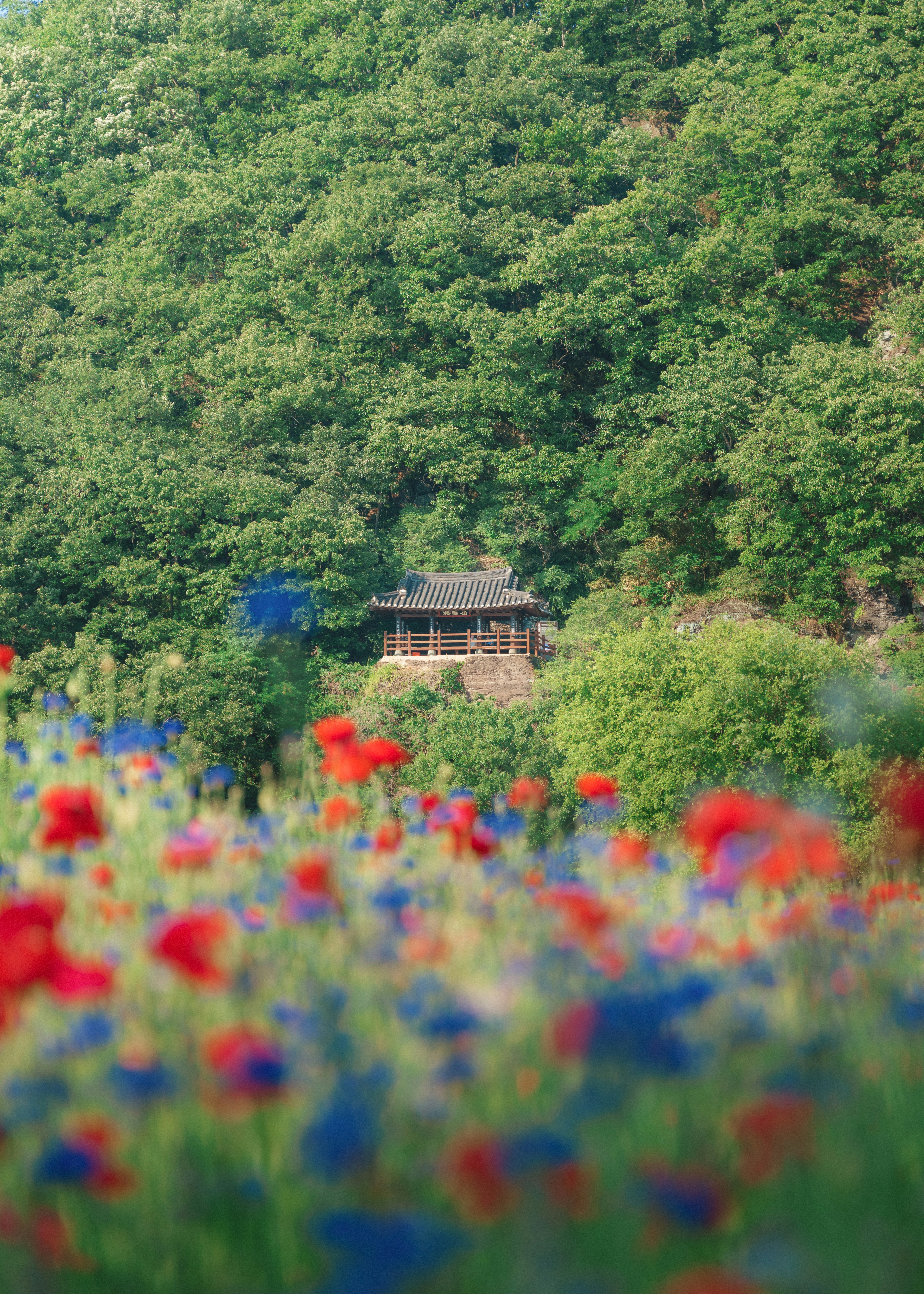 Colorful flowers in foreground, traditional building nestled in green forest.