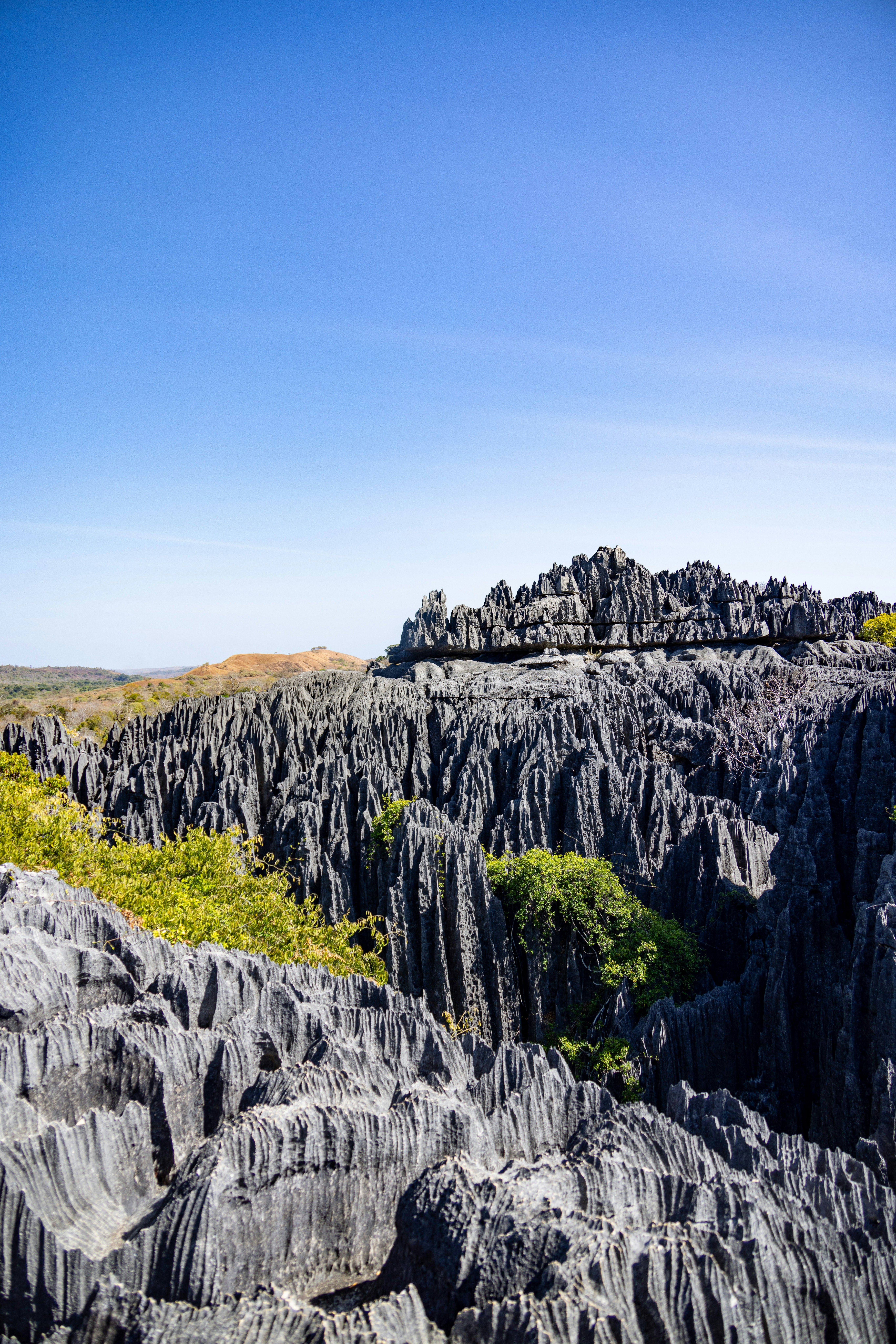 Basalt Ridgetop: A maze of jagged black stone under a clear blue sky