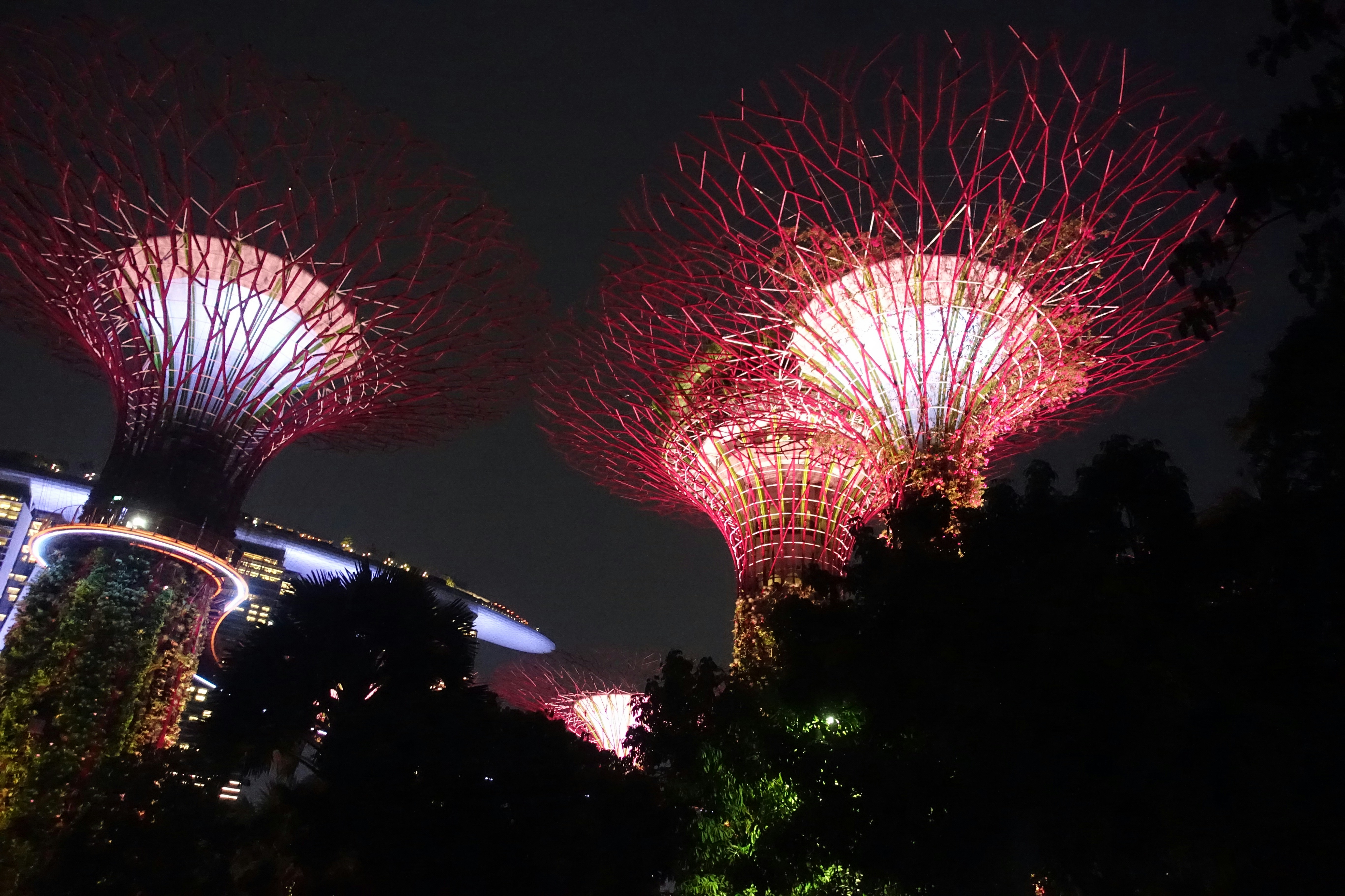Glowing Supertrees Above a Moonlit Canopy
