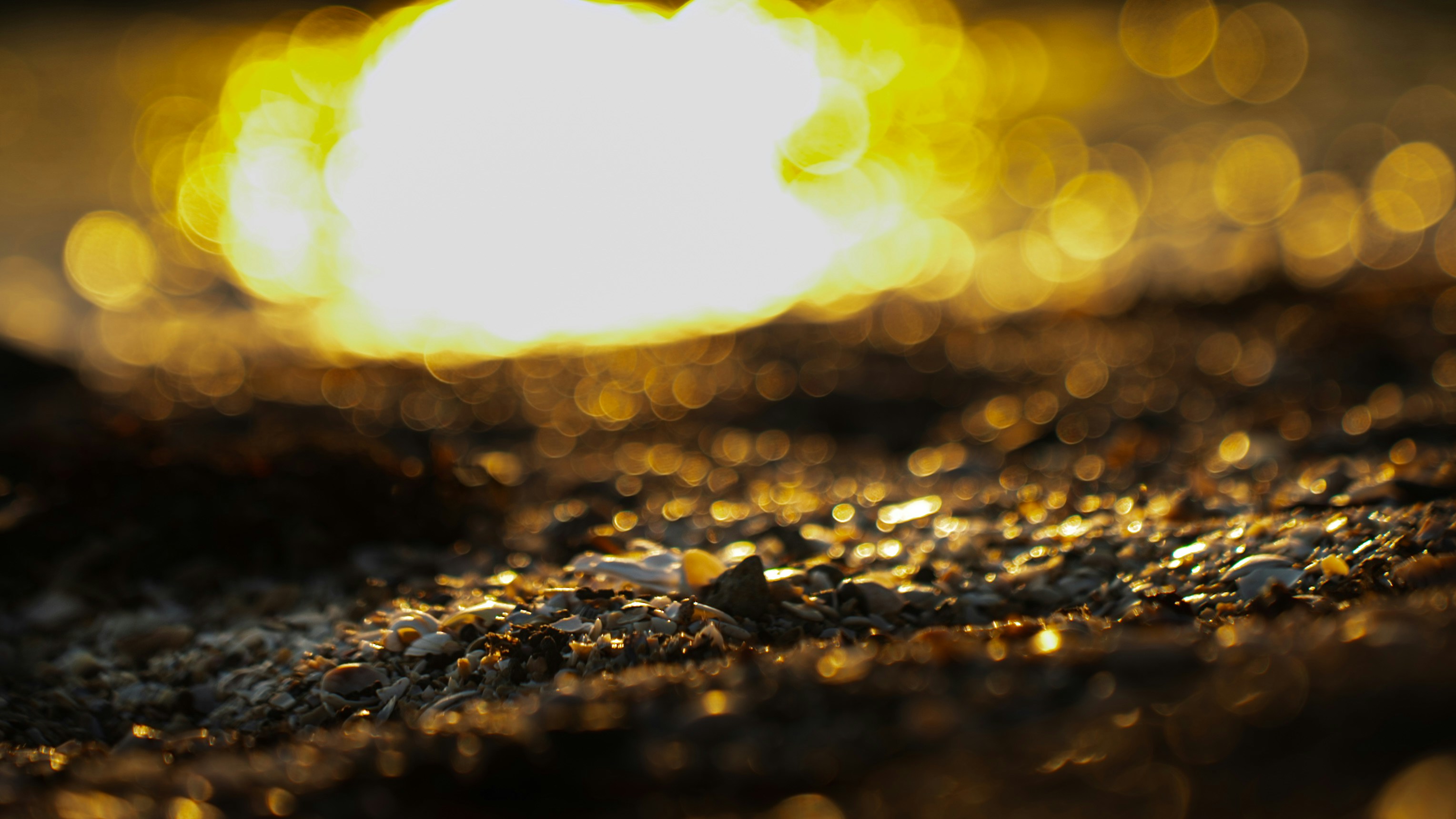 Golden Tide on Pebble Shallows