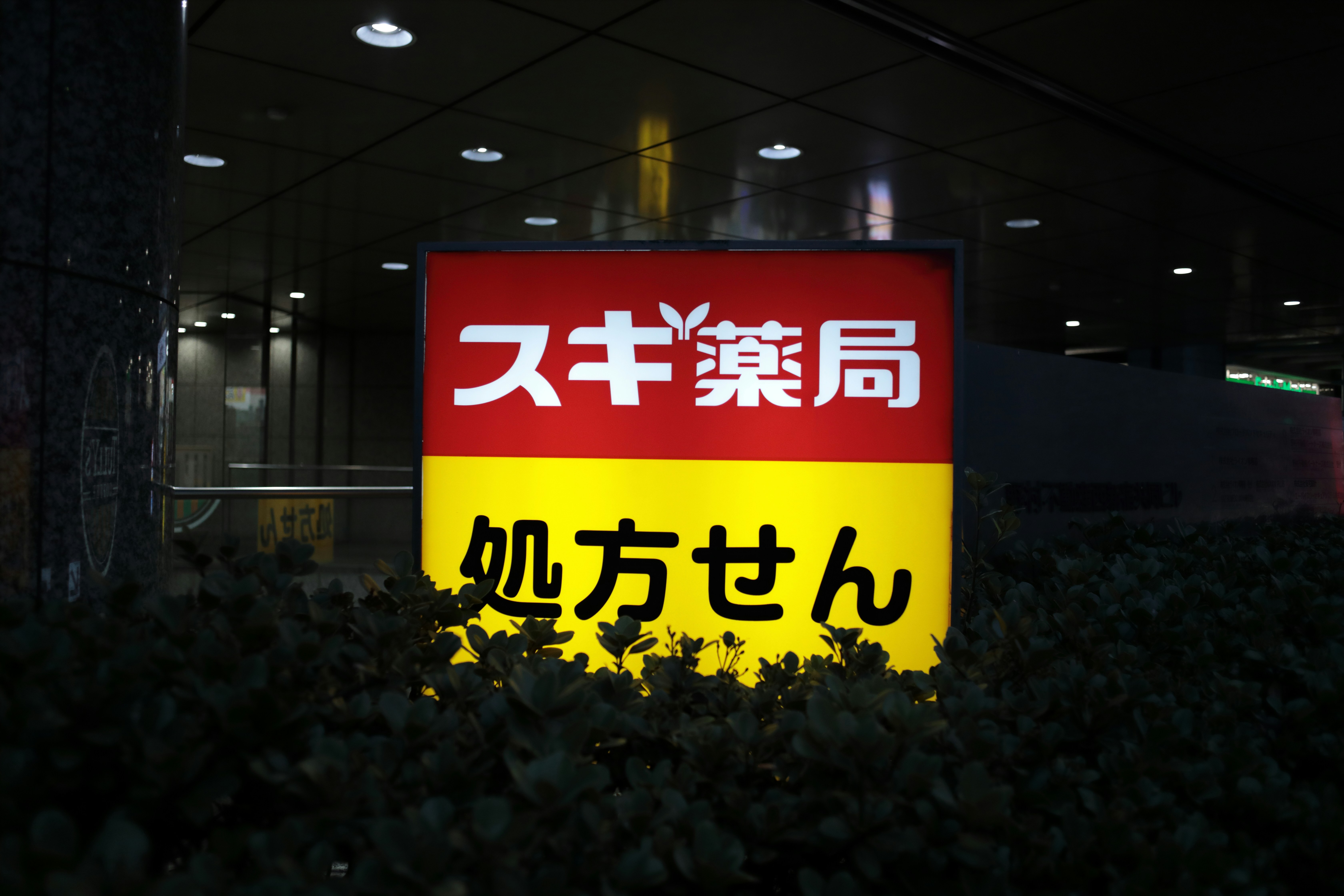 Neon-Glow Sign in a Quiet Courtyard