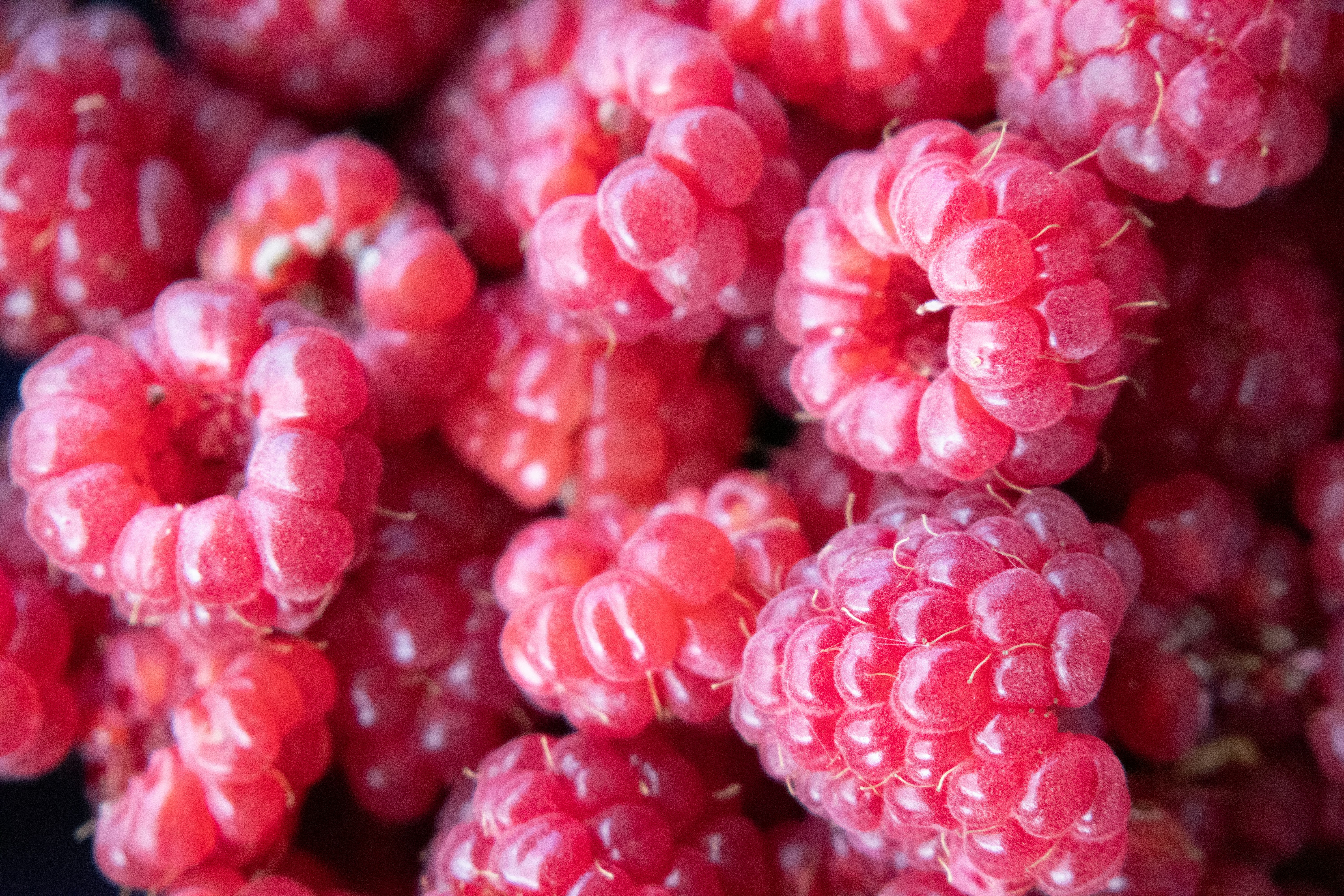 Close-Up Raspberry Mosaic: Juicy Berries in Sharp Focus