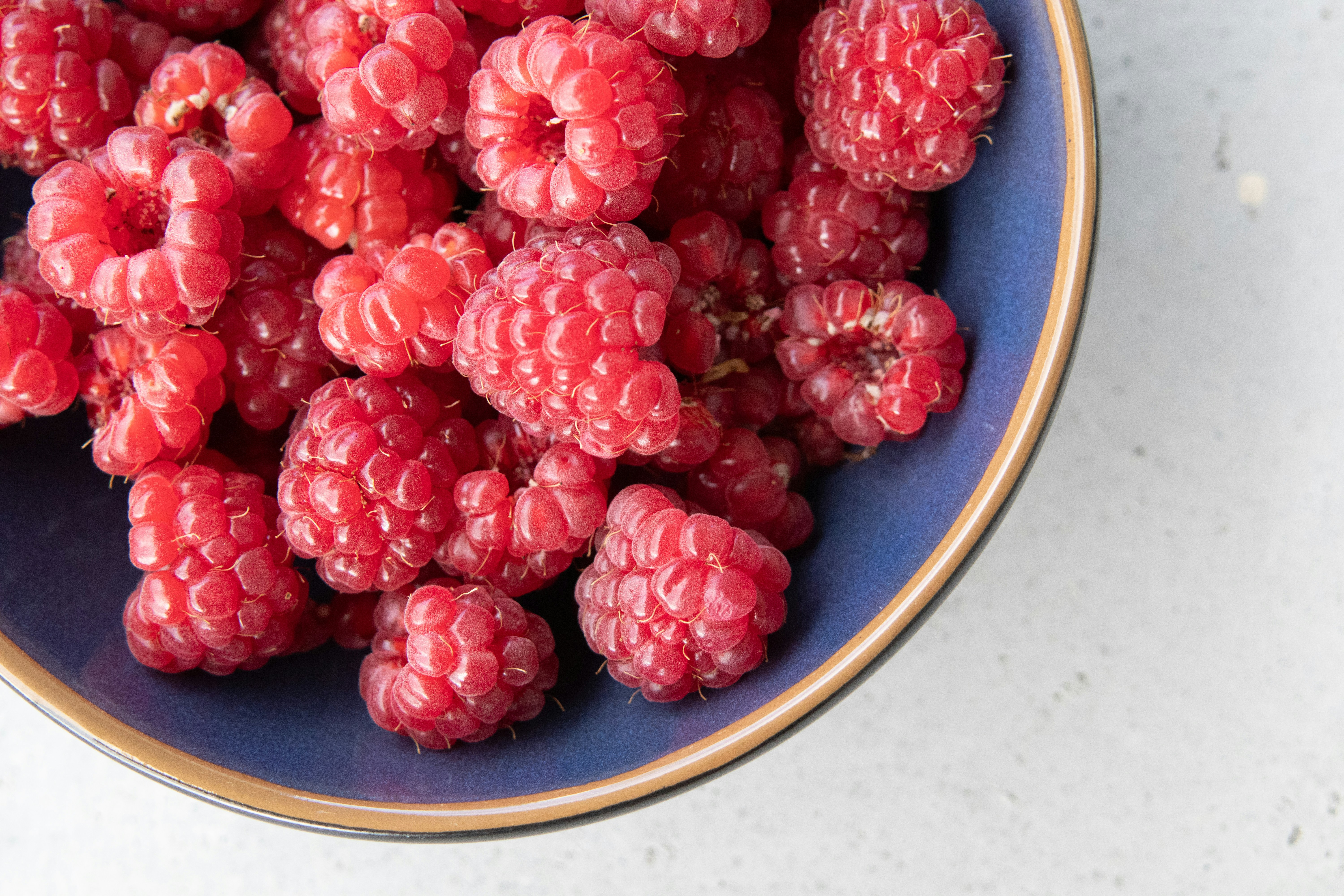 Crimson Berries in a Navy Rimmed Bowl