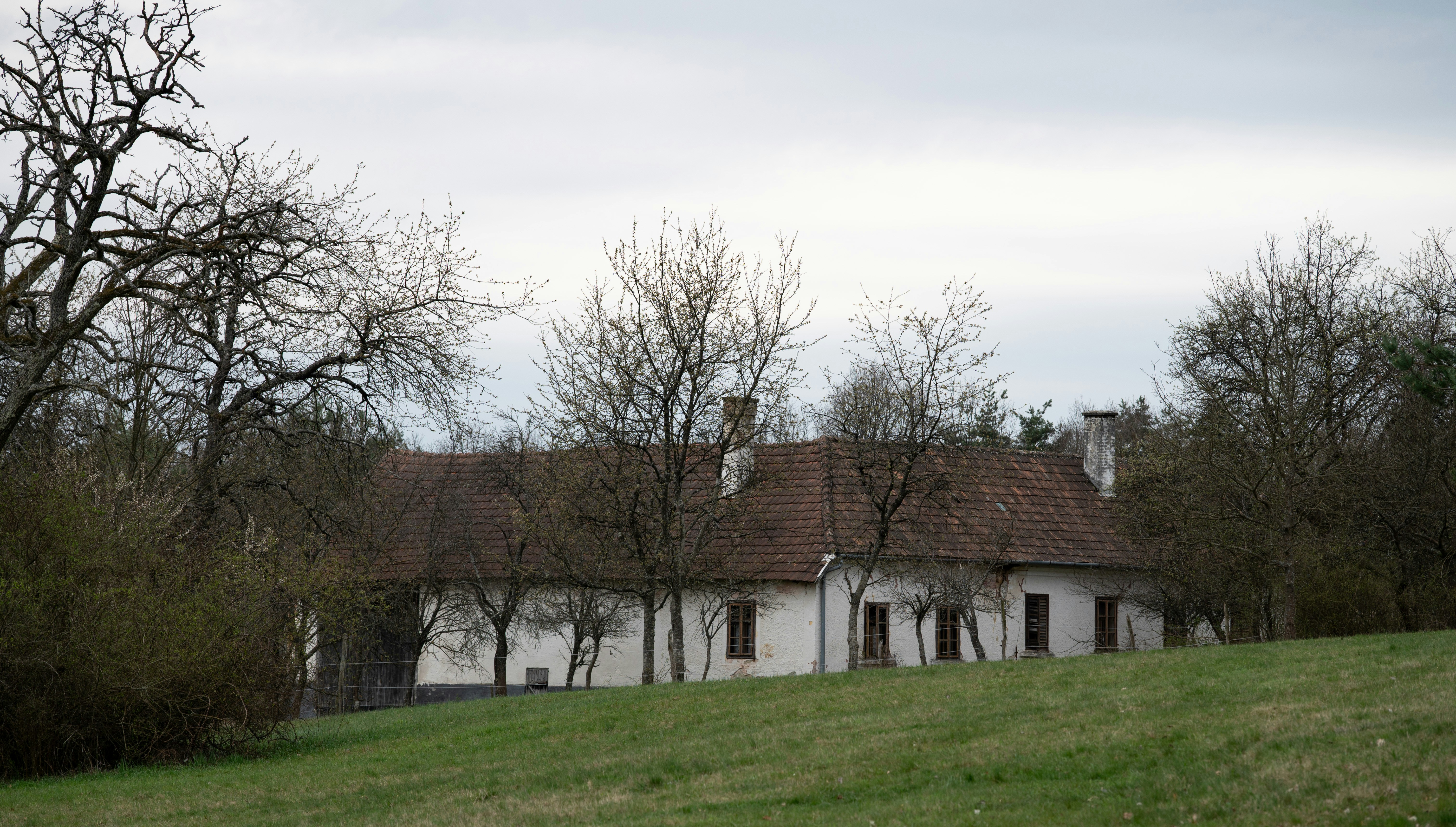 Quiet Farmstead Under Bare Winter Trees