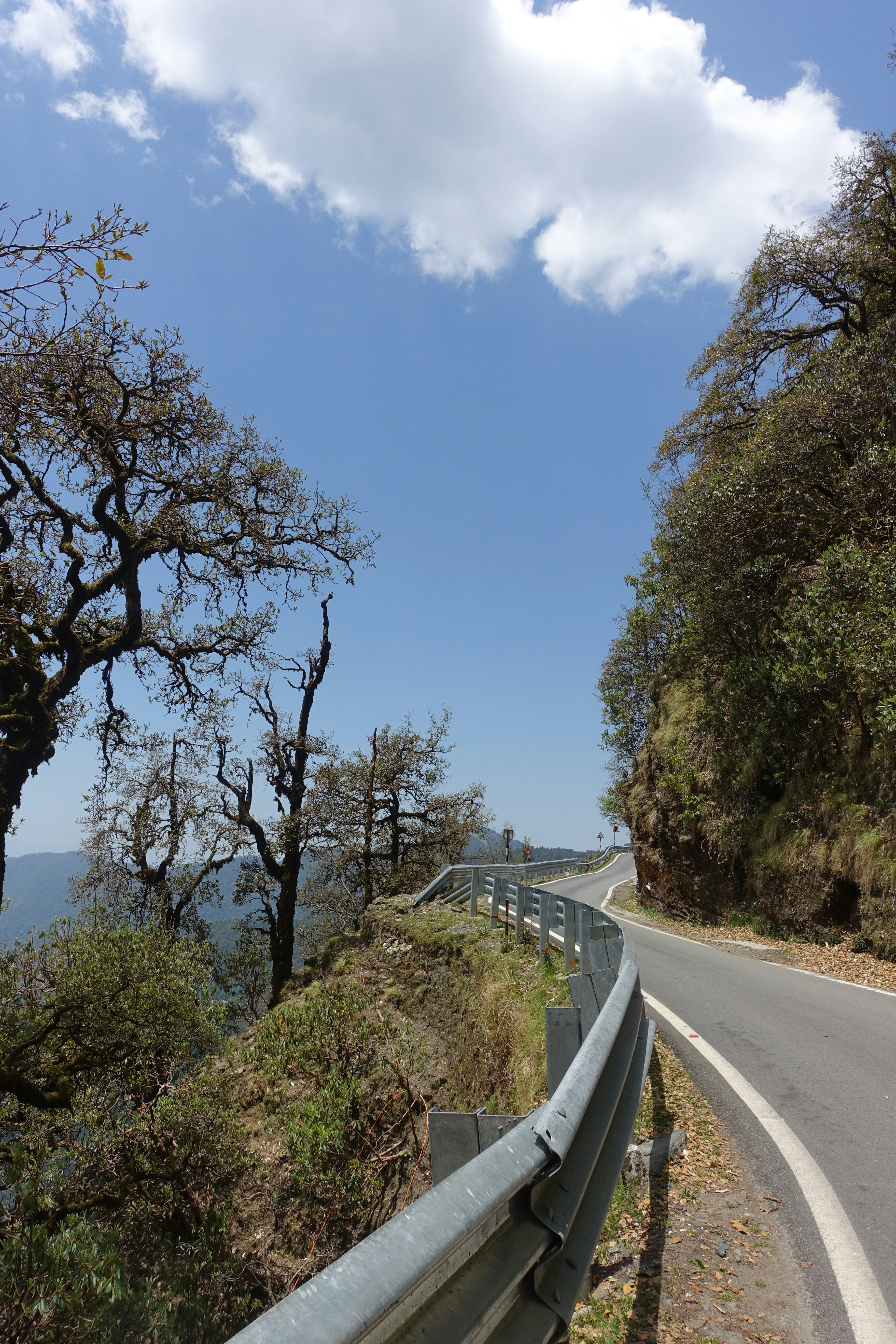 Guardrail Vista: The Road Curves Toward the Vanishing Horizon
