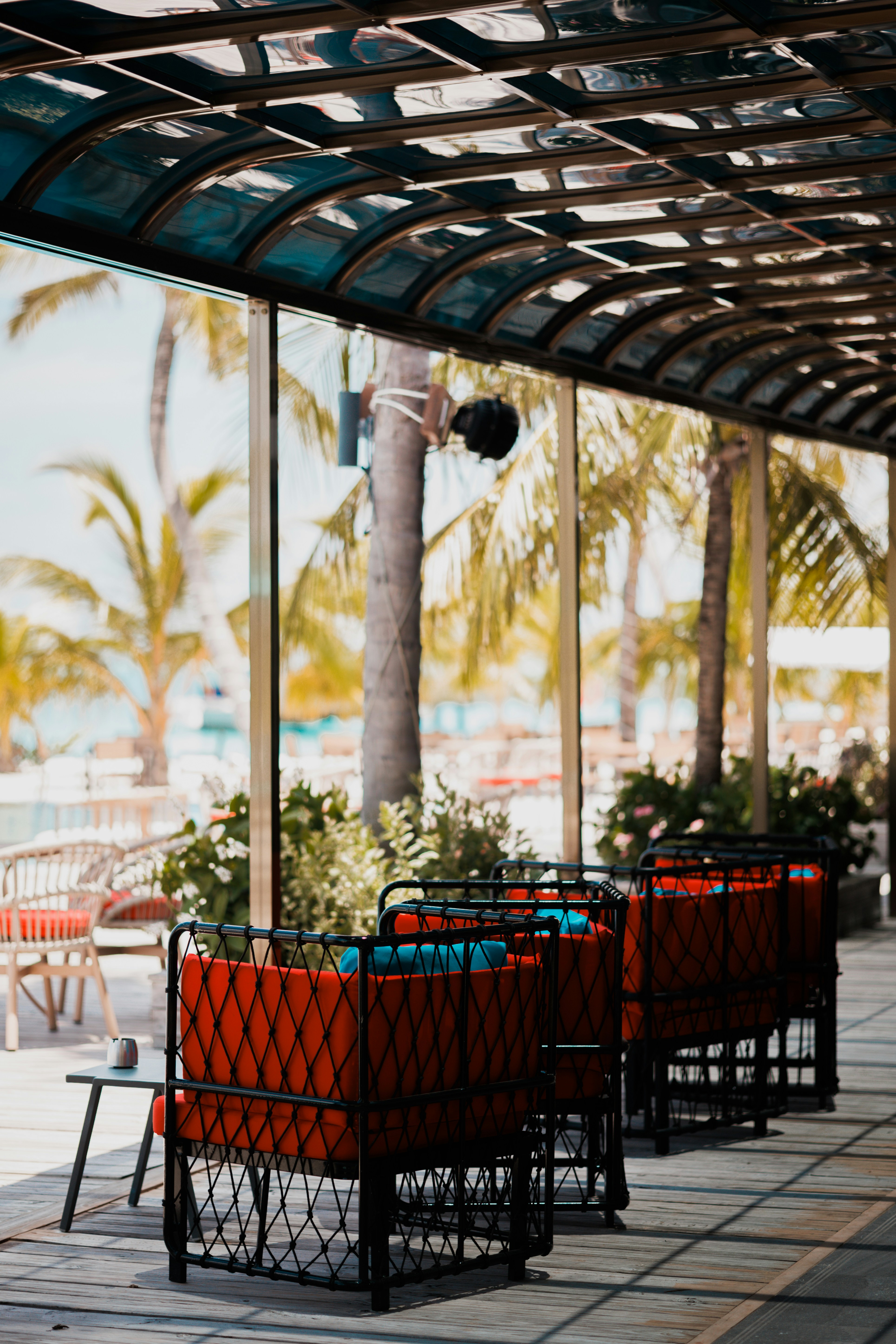 Shaded Terrace Rendezvous Under a Curved Glass Canopy
