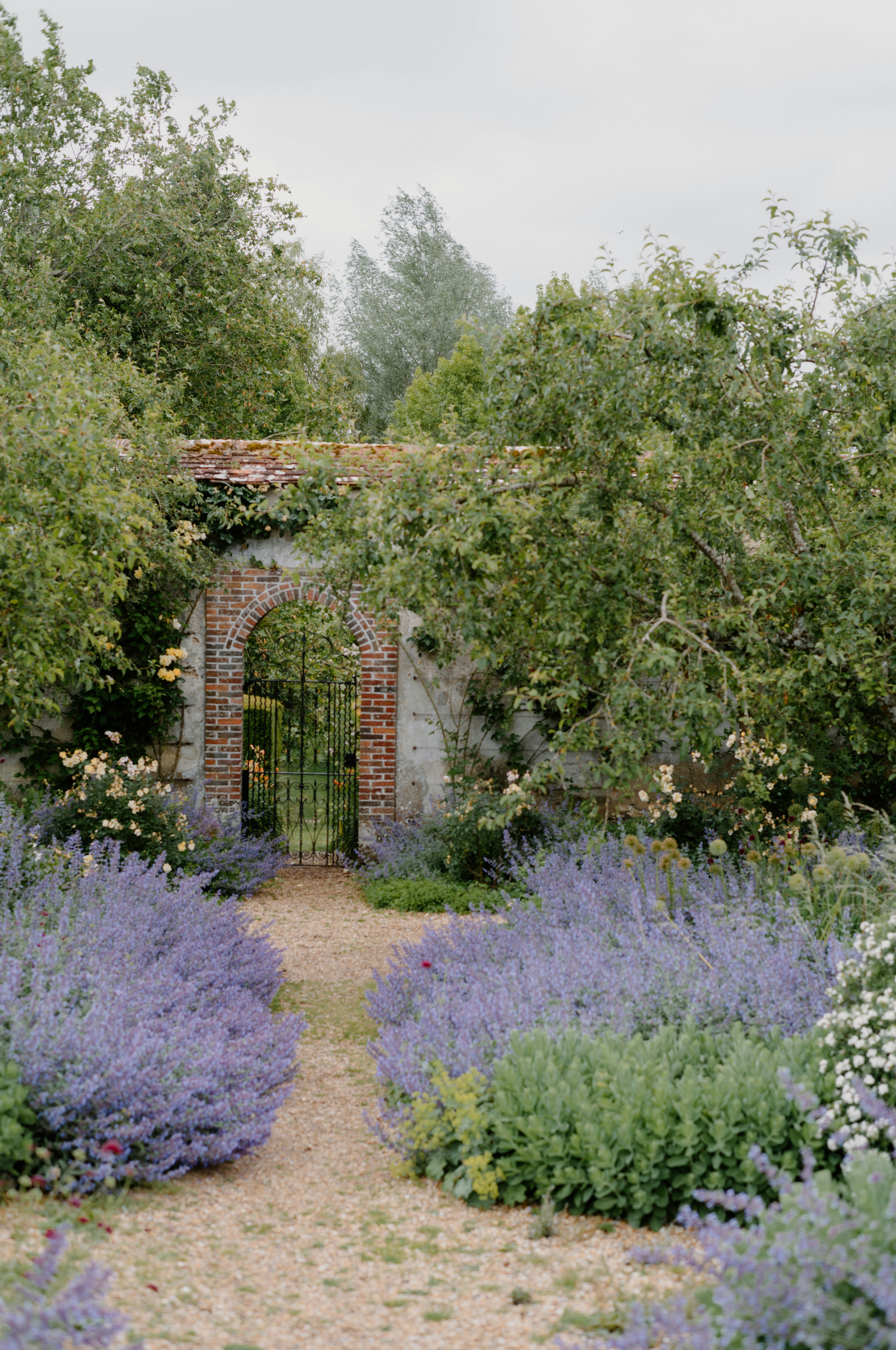 Berry-arched Gateway to Lavender Path