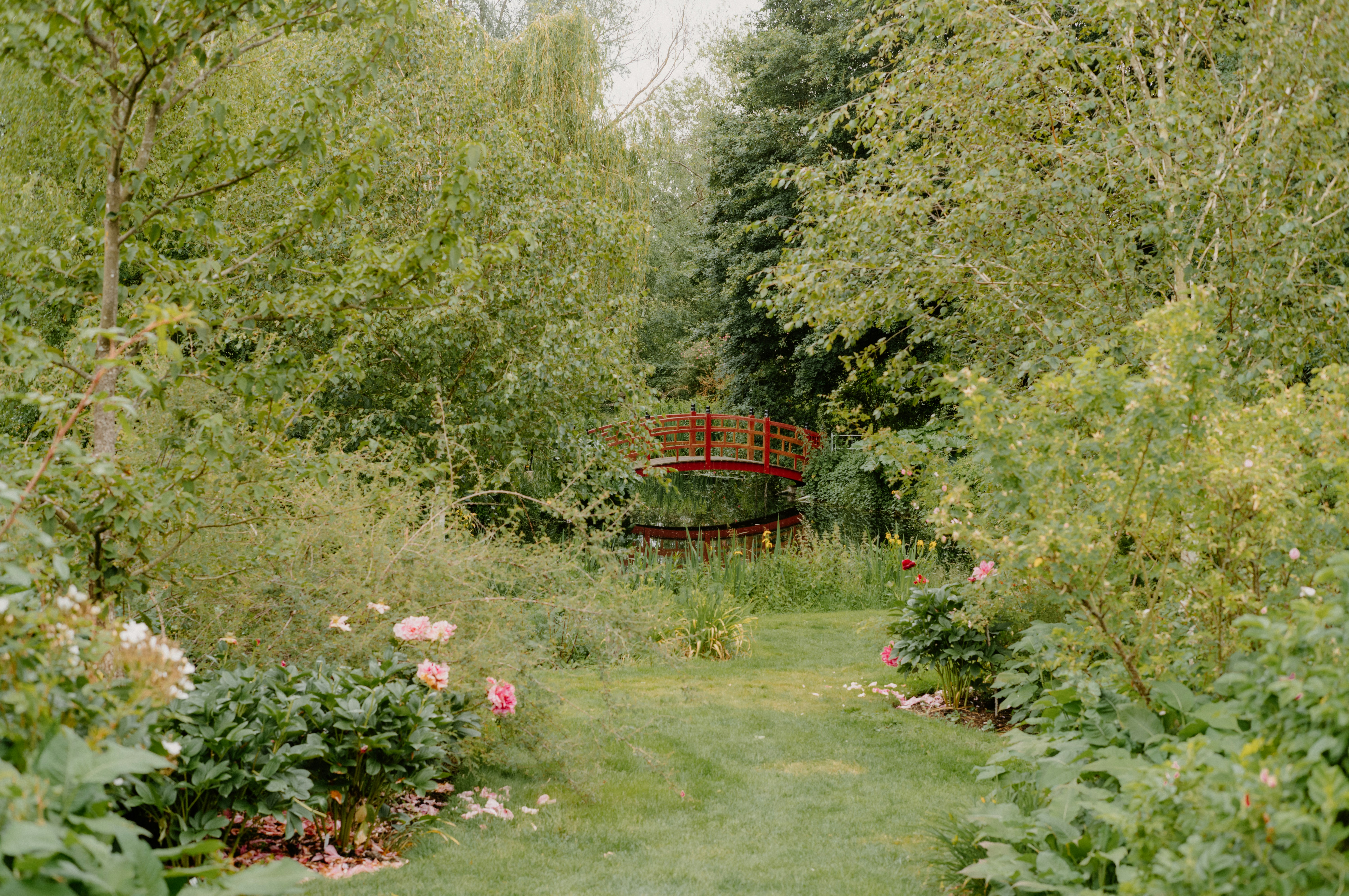 A lush garden path leading to a small wooden bridge