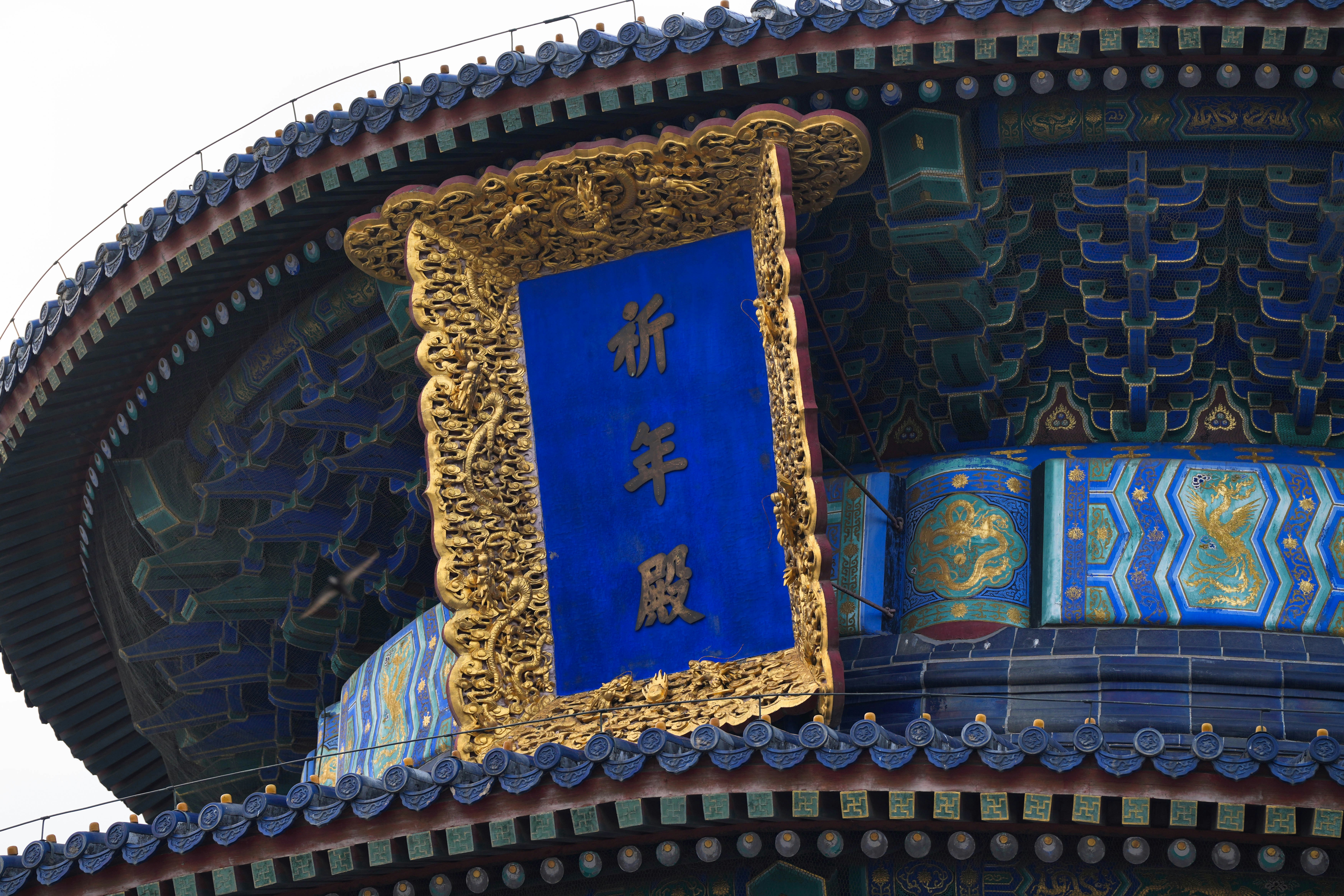 Golden Frame of Chinese Rooflines: Blue Plaque Amid Ornate Eaves