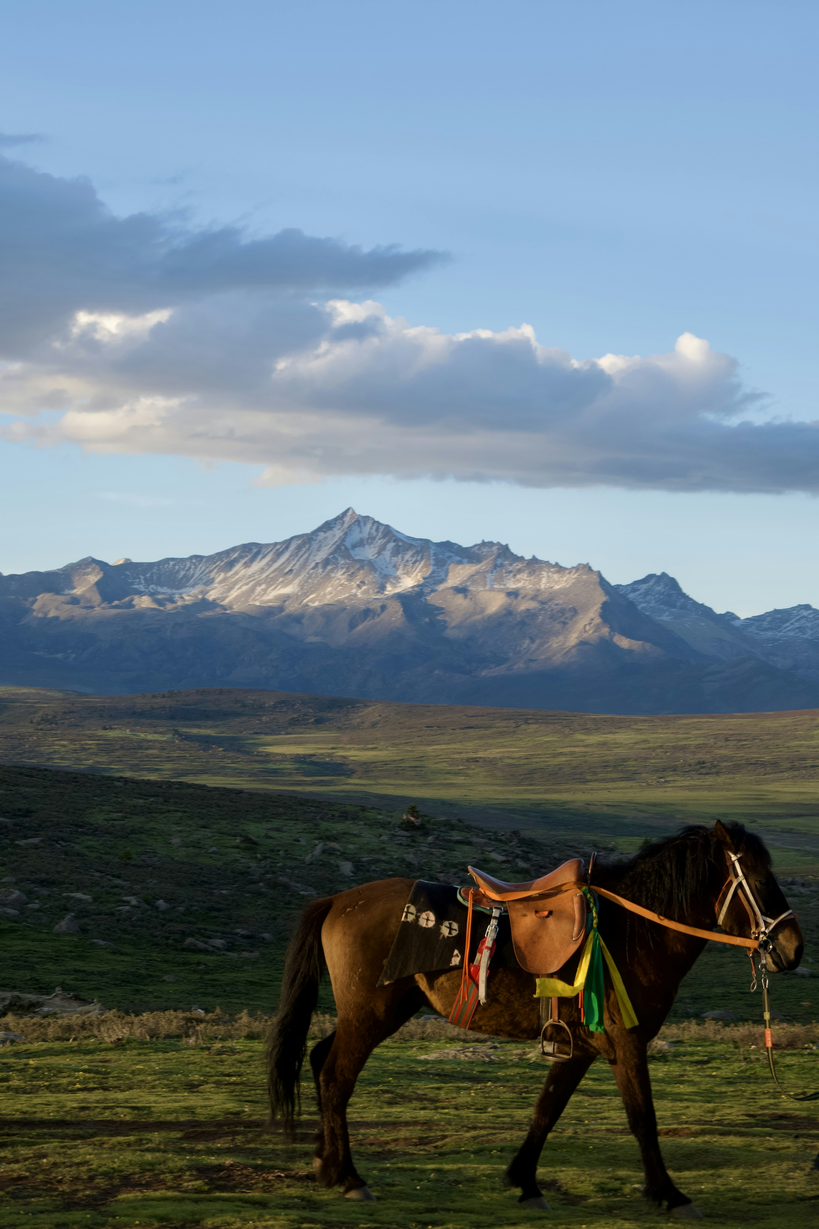 Horizon Rider: A Lone Horse Beneath Alpine Light