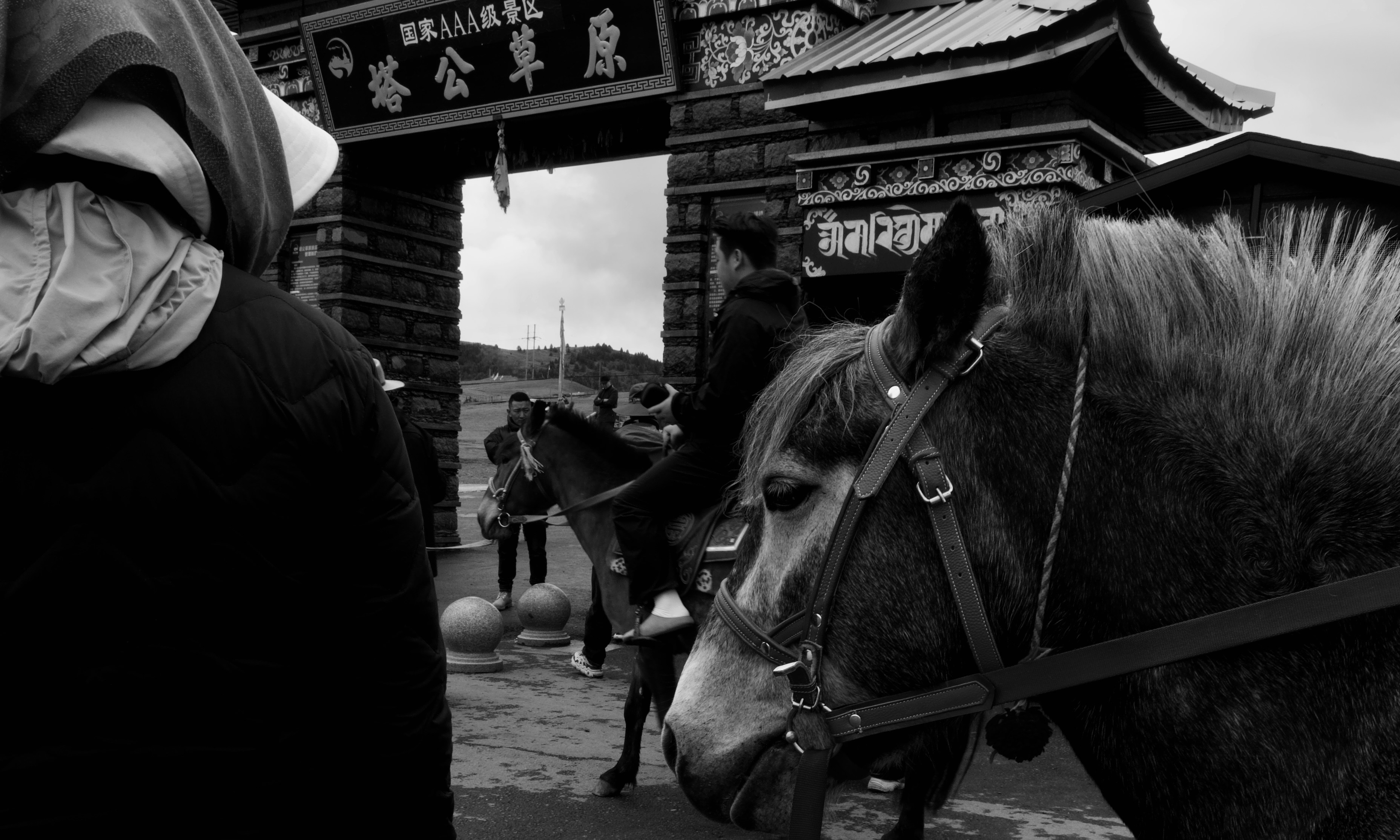 Equestrian Quiet at the Temple Gate
