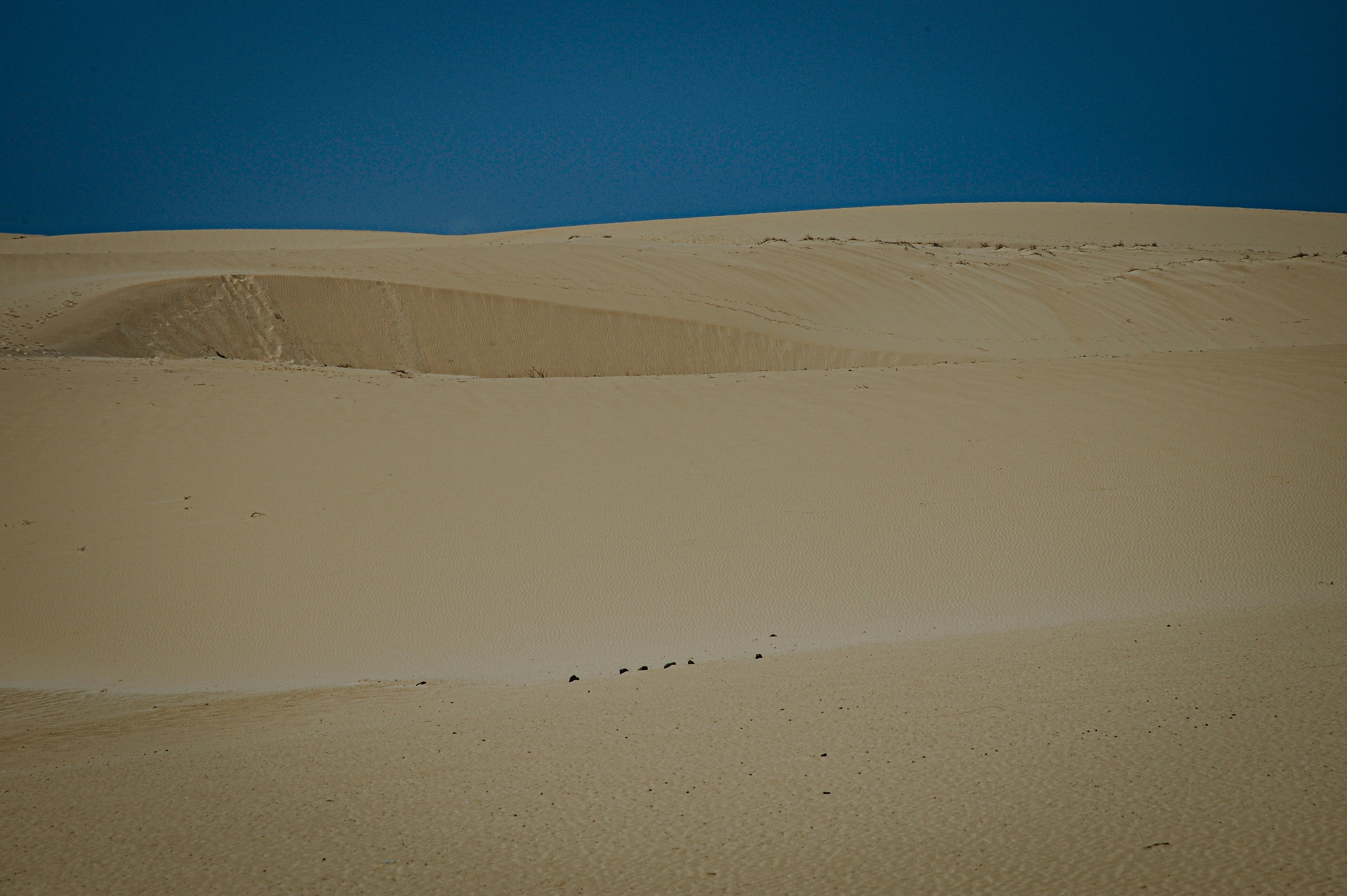 Above the Dunes: A Quiet Sea of Sand Beneath a Lip of Blue