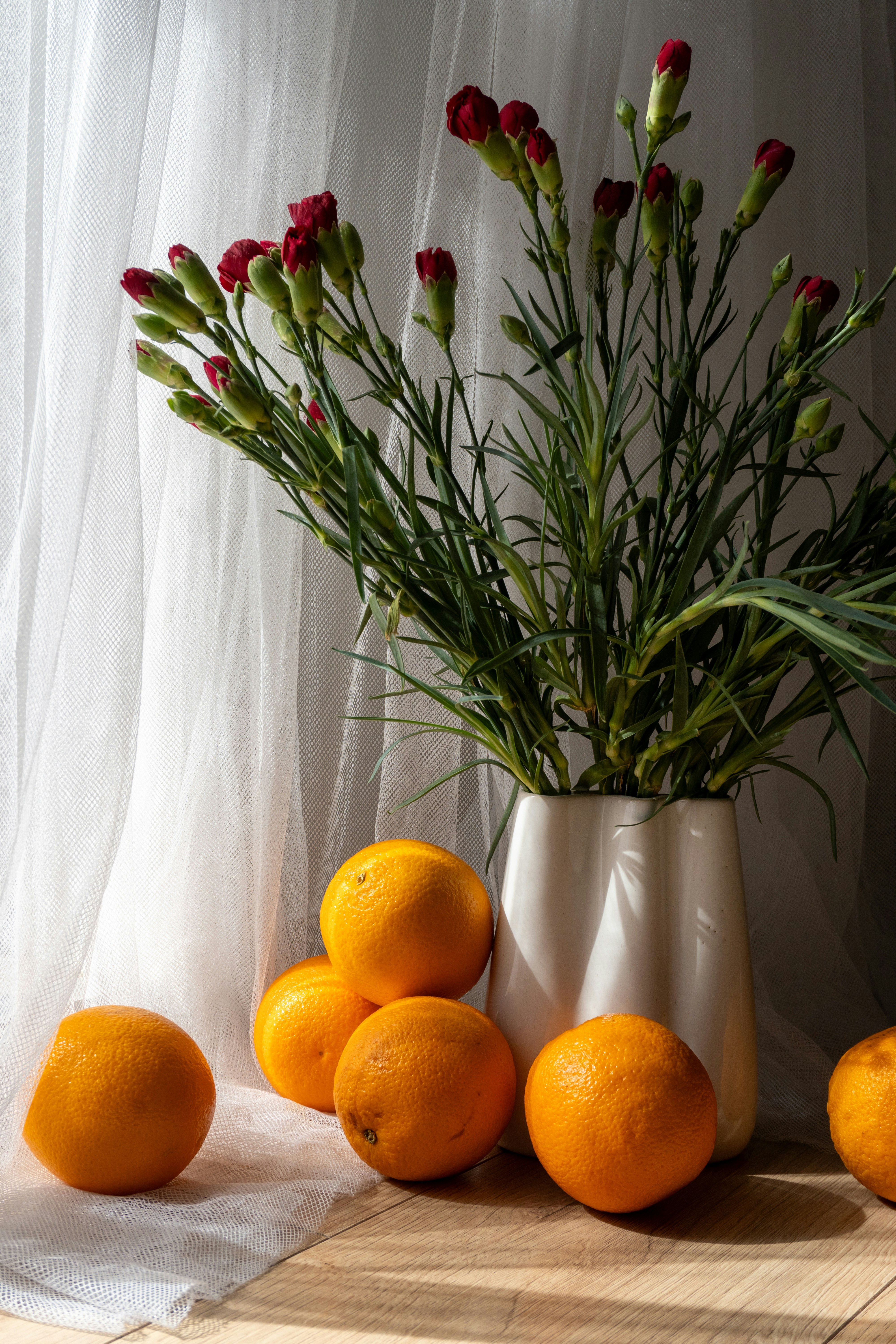 Still life with red flowers, oranges, and white curtain.