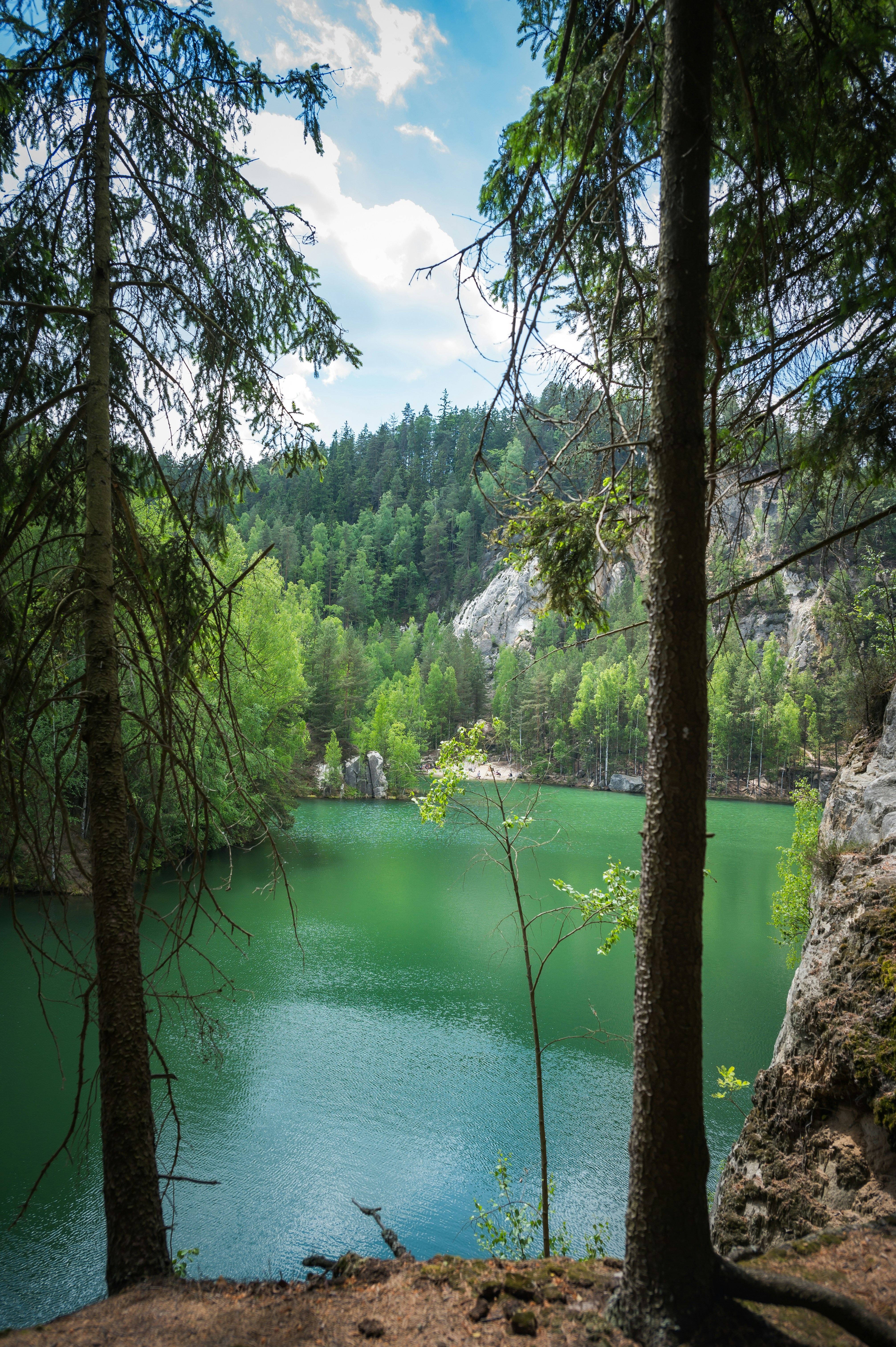 Green Mirror: Forested Canyon Reflections in a Hidden Lake
