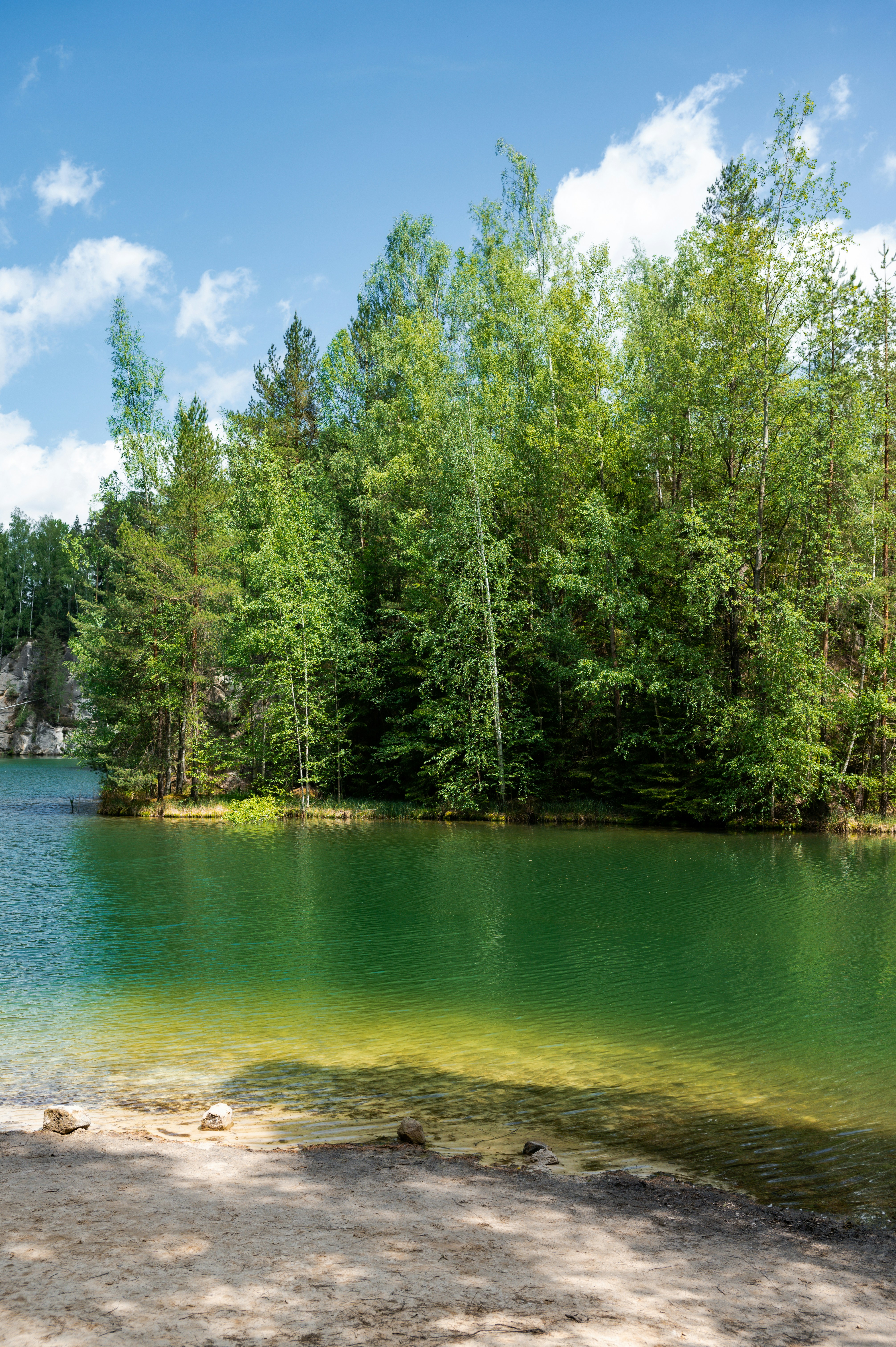 Sunlit Lakeside with Pine Forest Edge
