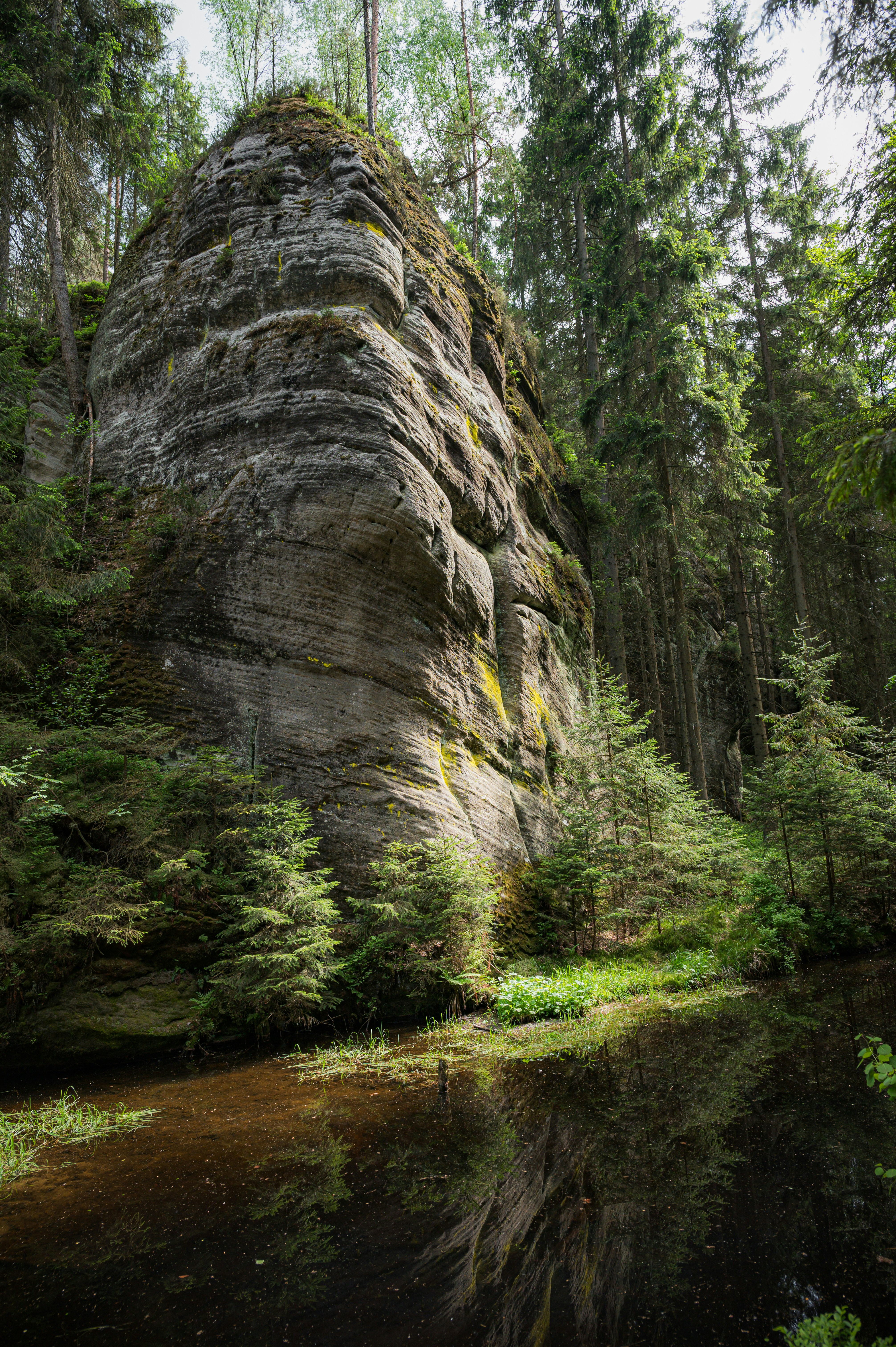 Emerald Haven: Moss Veil over a Formidable Cliff