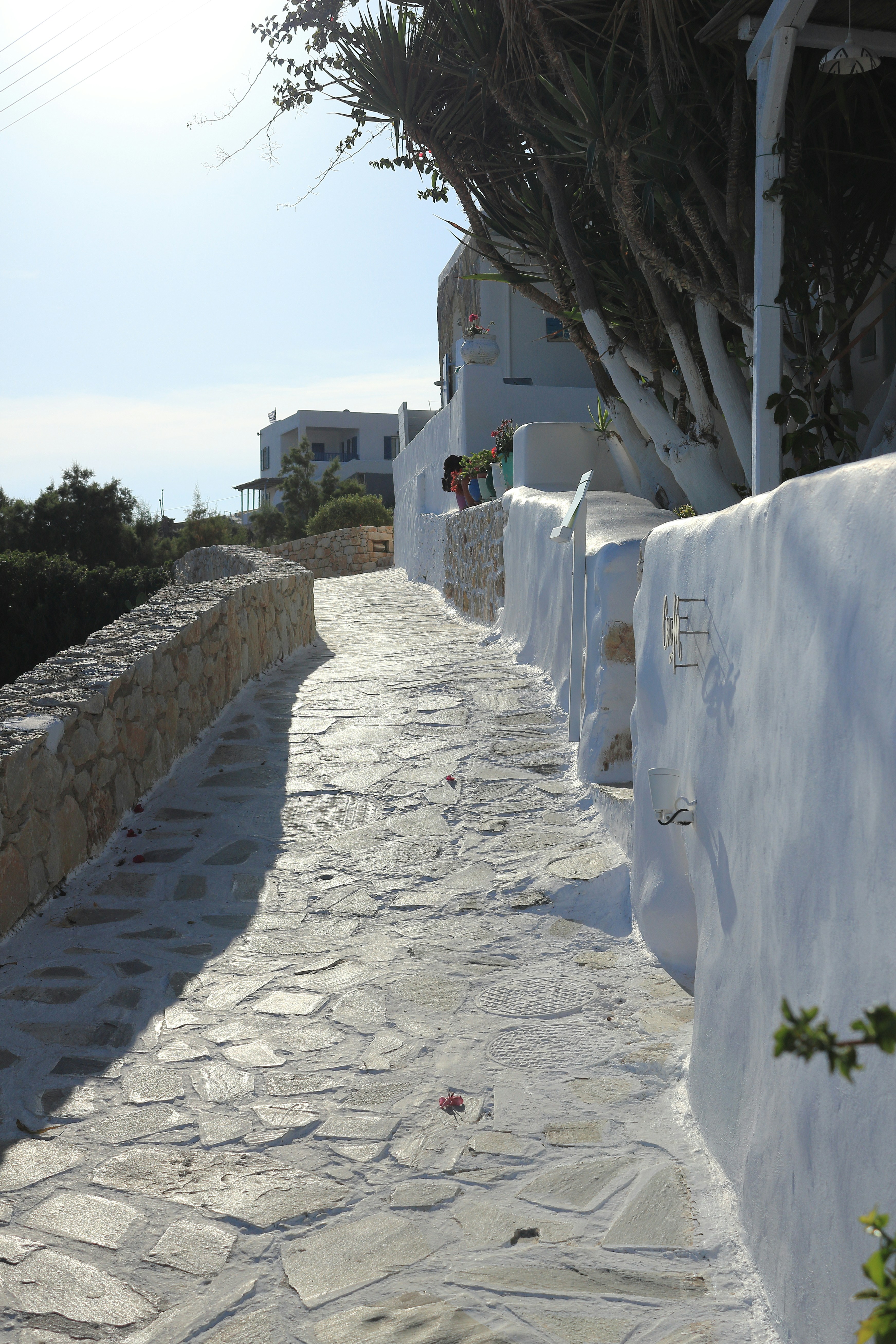 White-washed alleyway in a sunlit Cycladic village