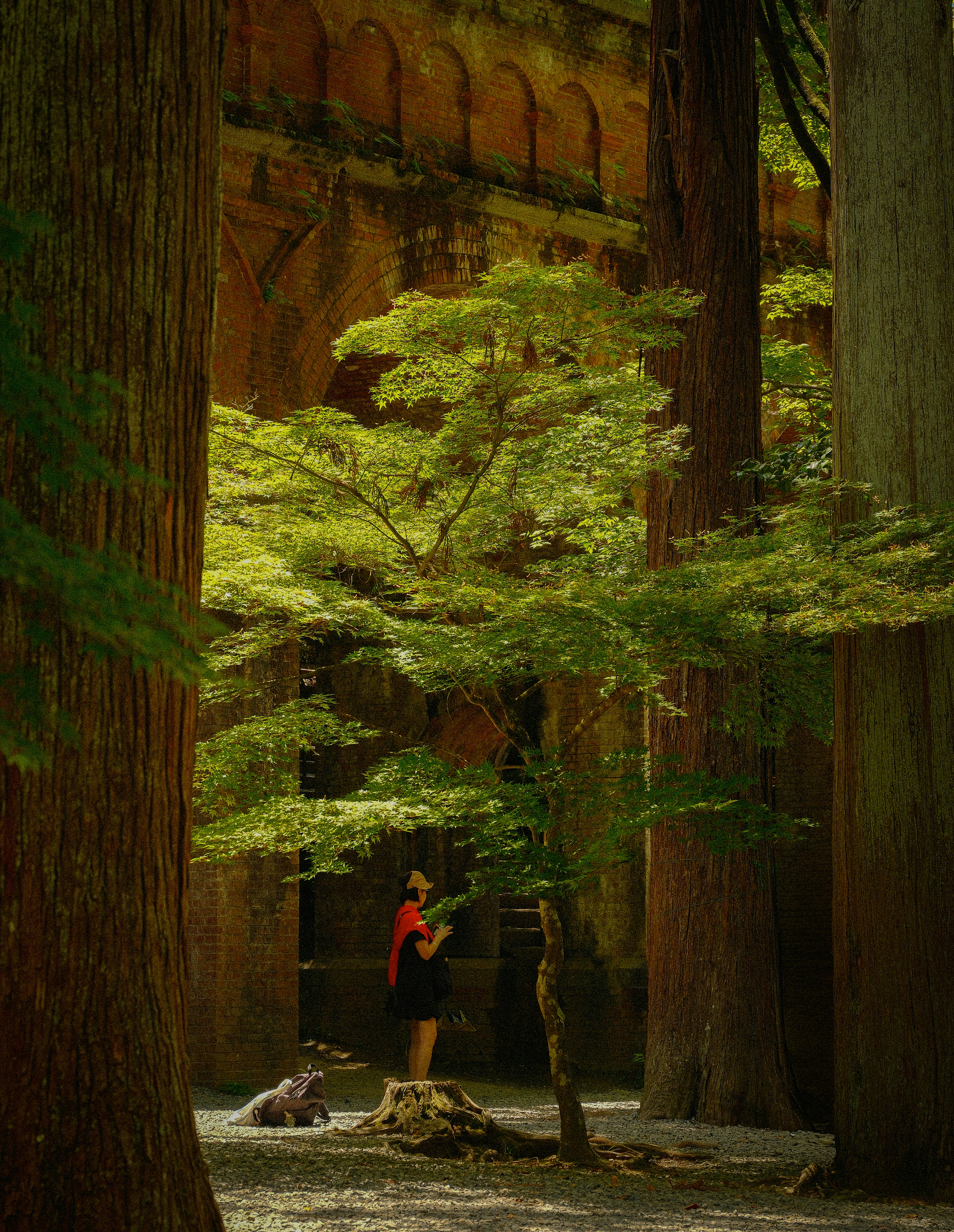Whispering Grove: A Visitor in the Ancient Foresthall