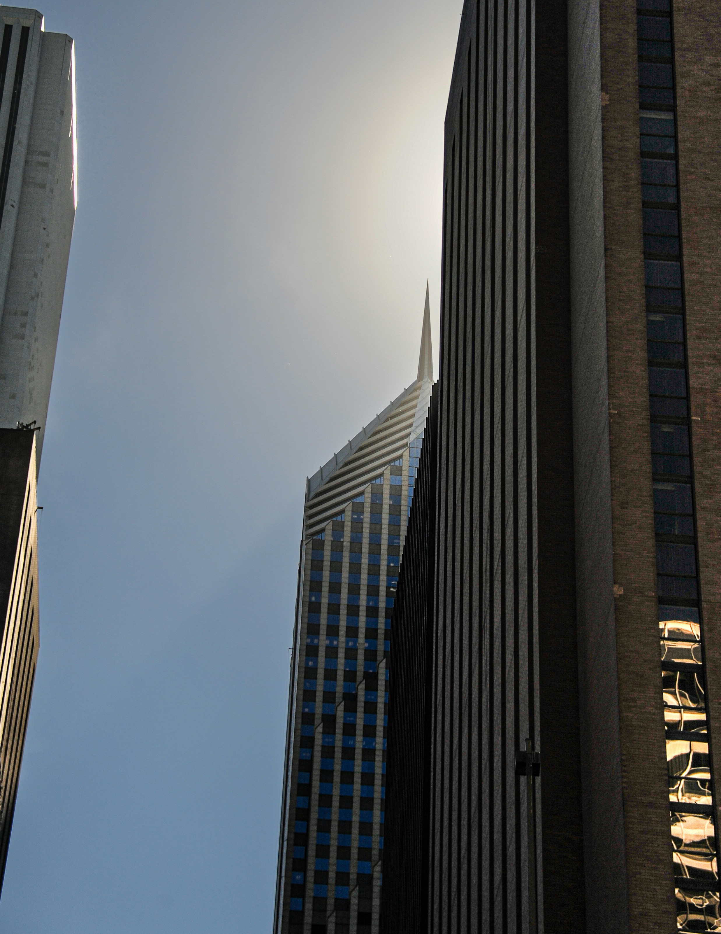 Skyward Needle among City Giants