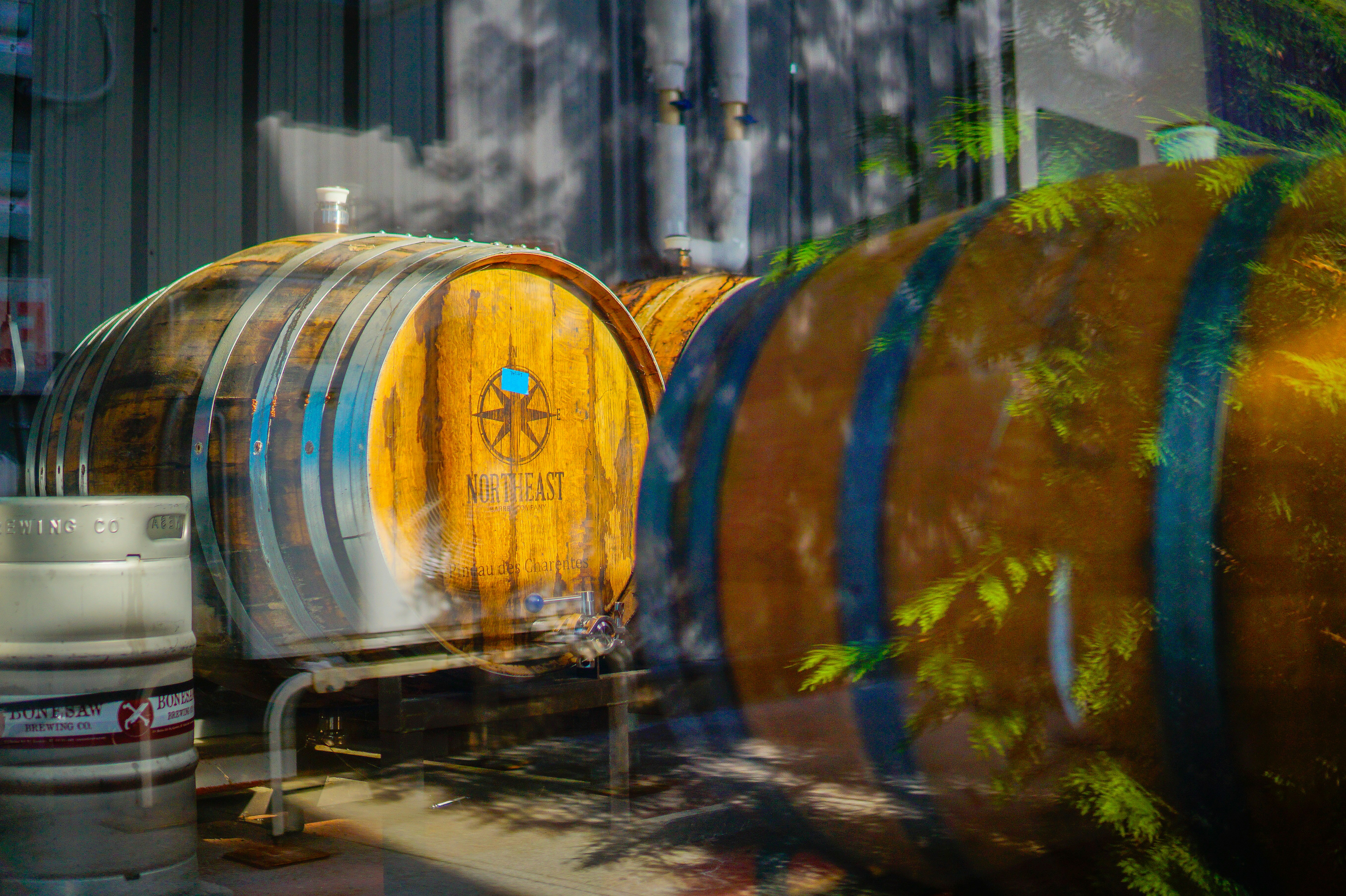 Barrel Aging in Sunlit Glass: Echoes of a Winery Courtyard
