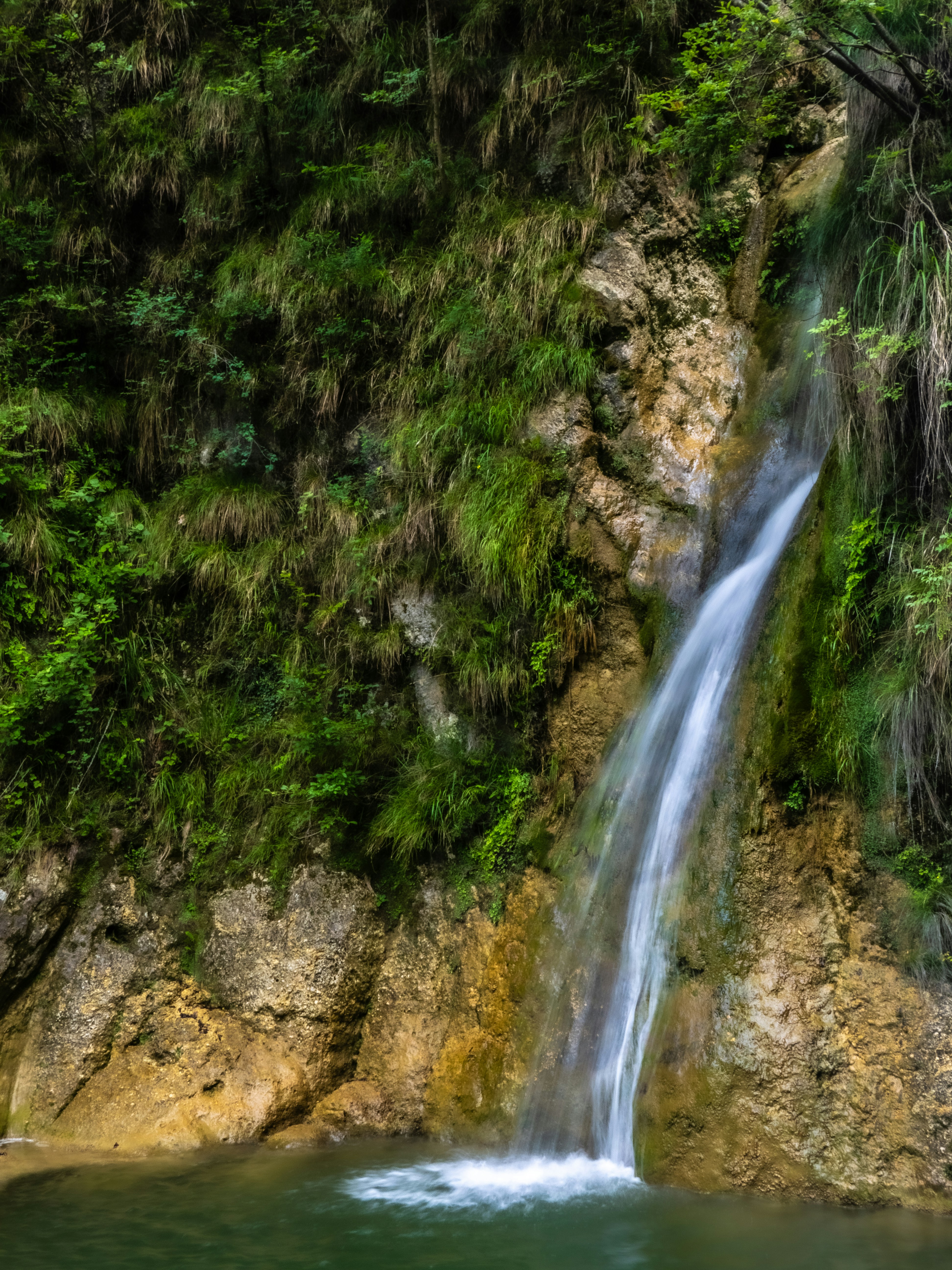 Ribbon of Quiet Power: A Narrow Cascade Against Mossy Cliff