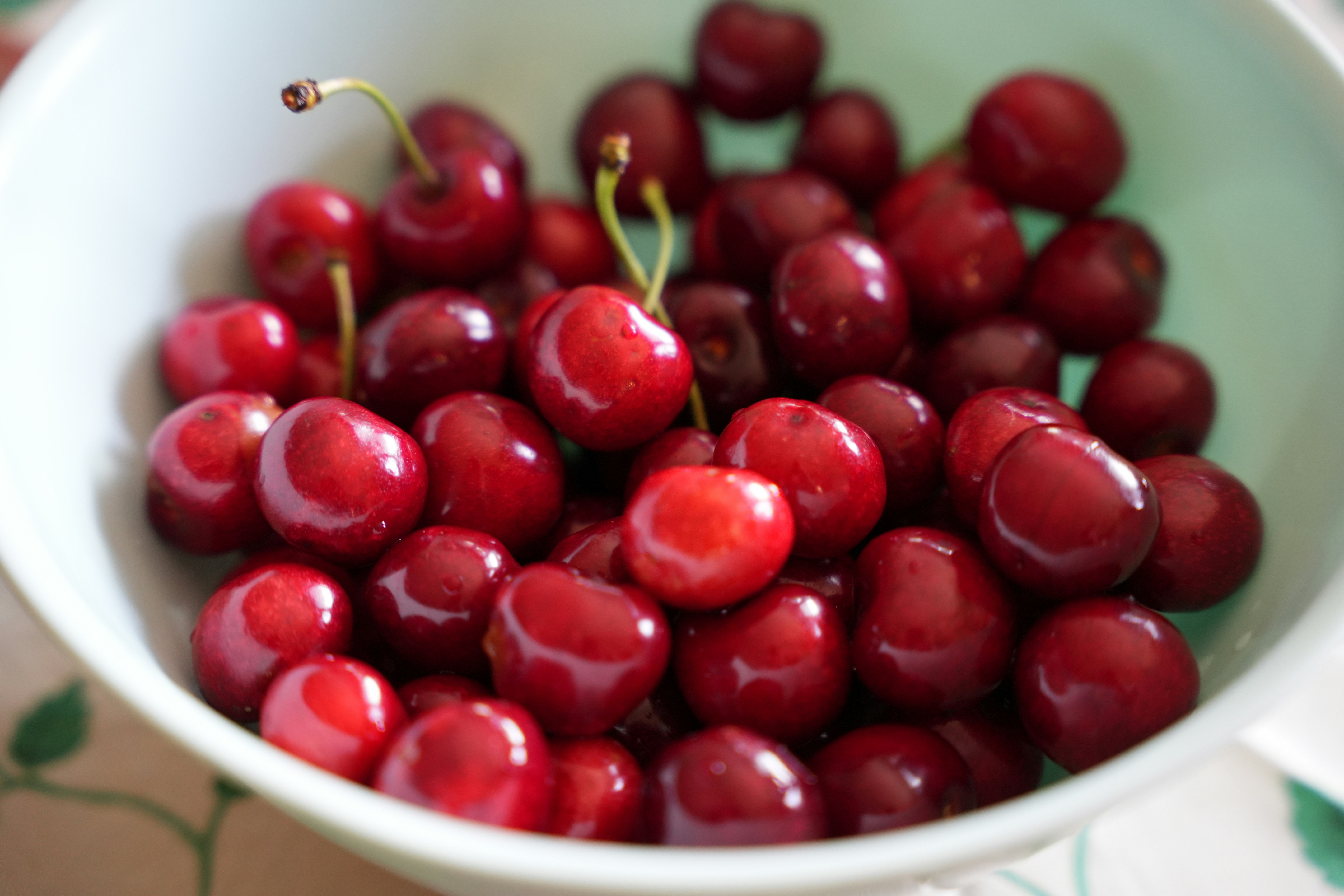 Red bowl of cherries: glossy harvest in a white cup