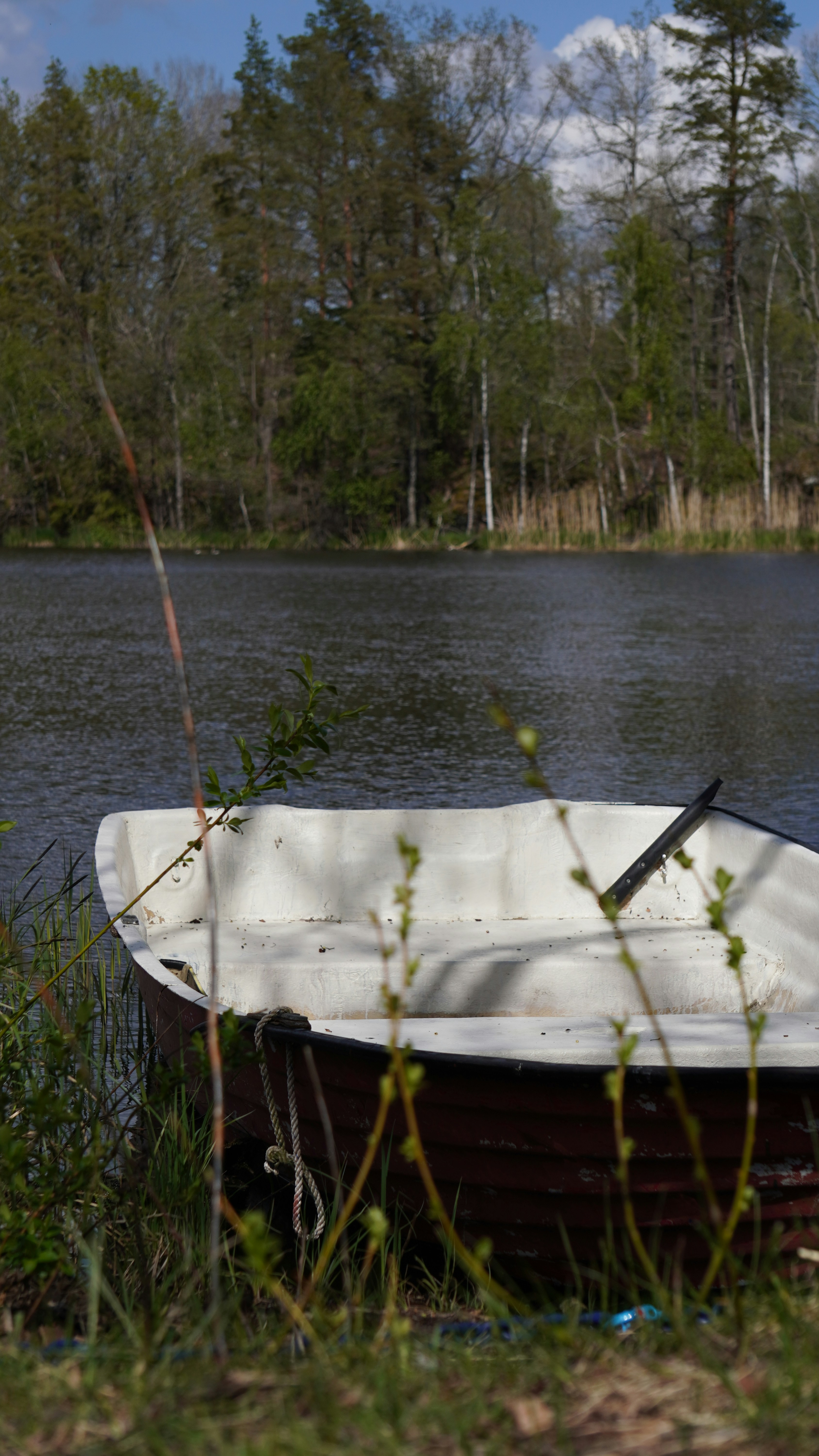 Old Rowboat Resting Along a Quiet Lakeshore