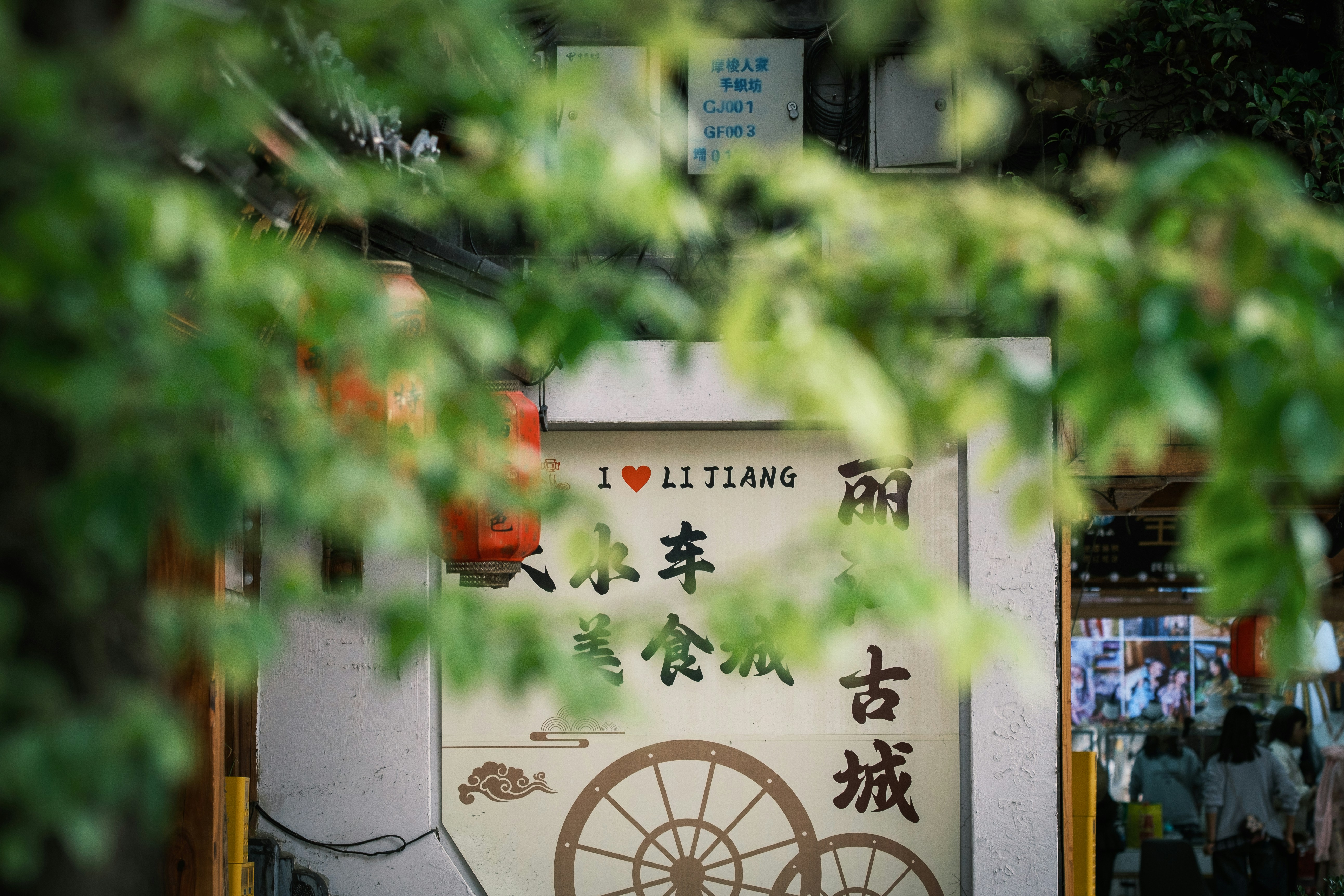 Chinese cultural storefront under leafy canopy with wheel motif