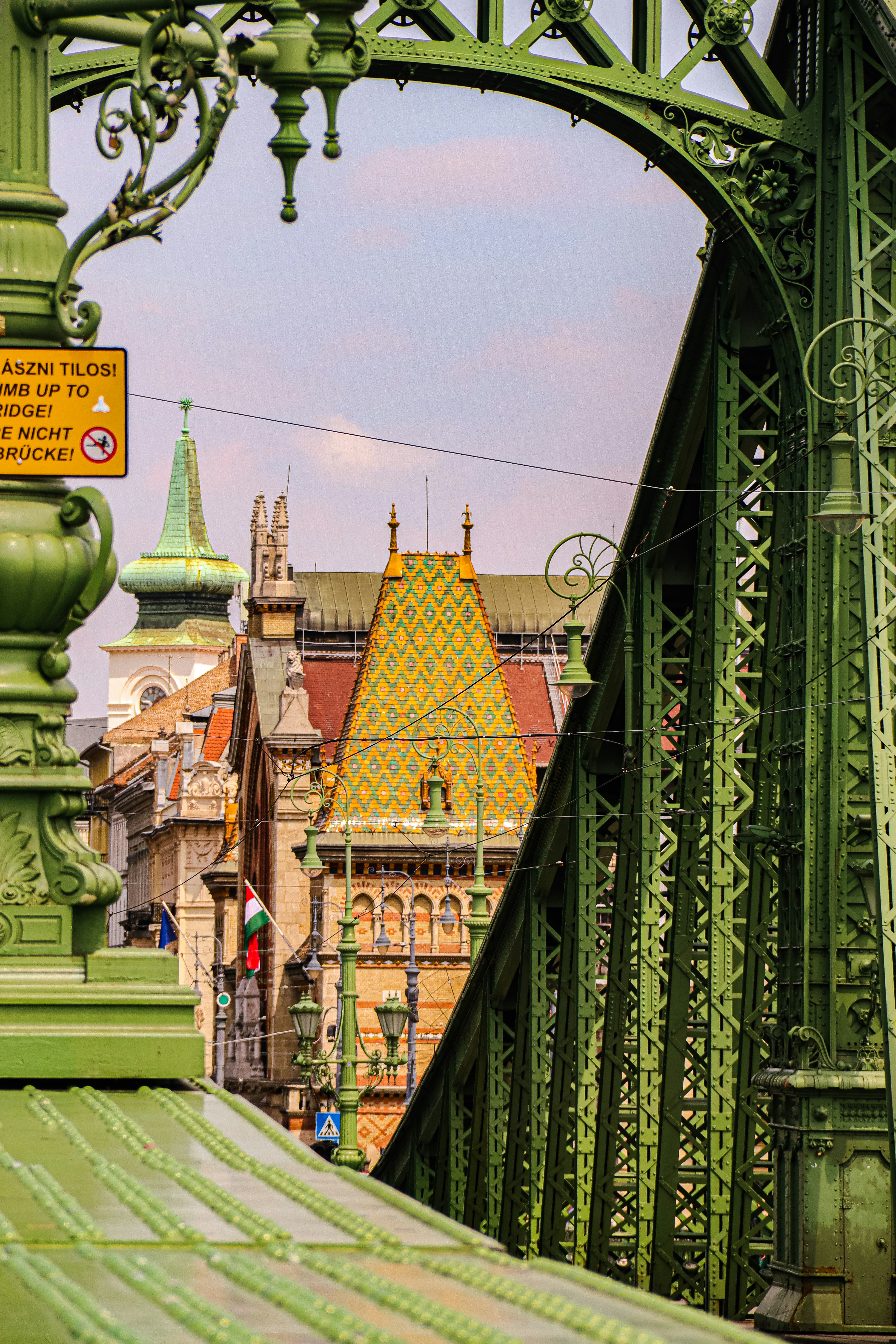 Green Iron Frame Framing a Hungarian Rooftop