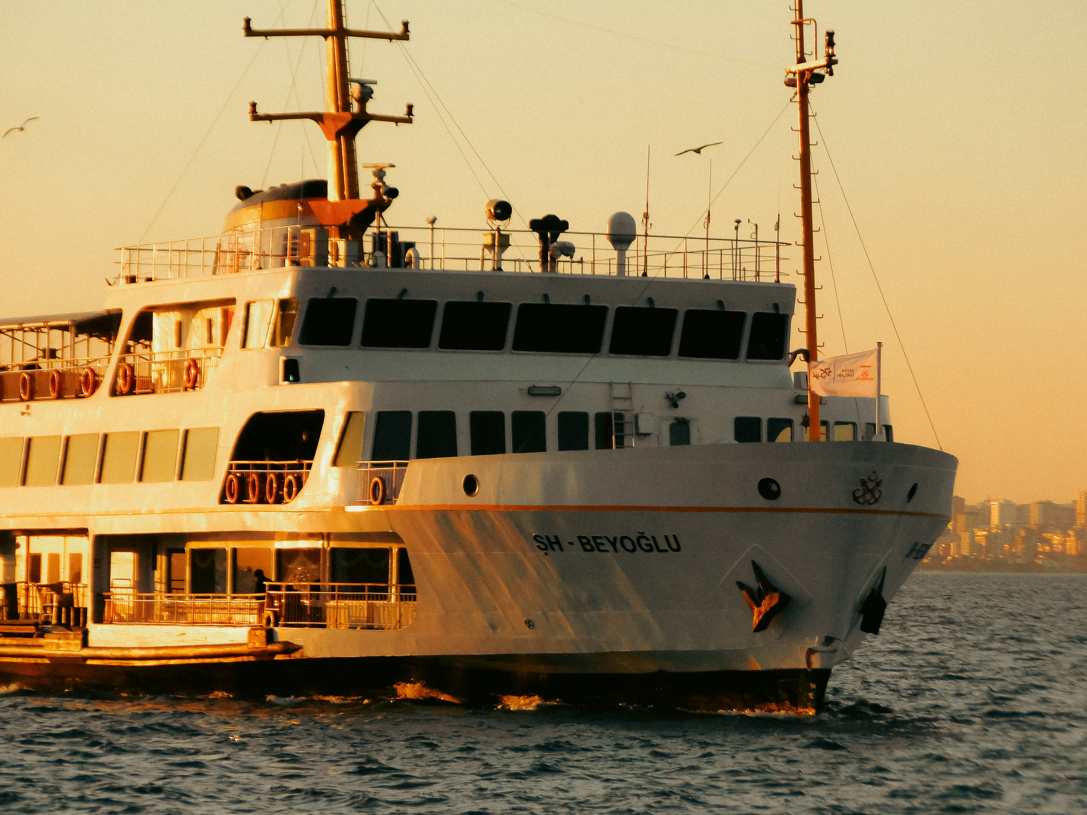 A white passenger ferry glides through calm harbor waters during golden hour, with warm sunlight highlighting its hull and windows.