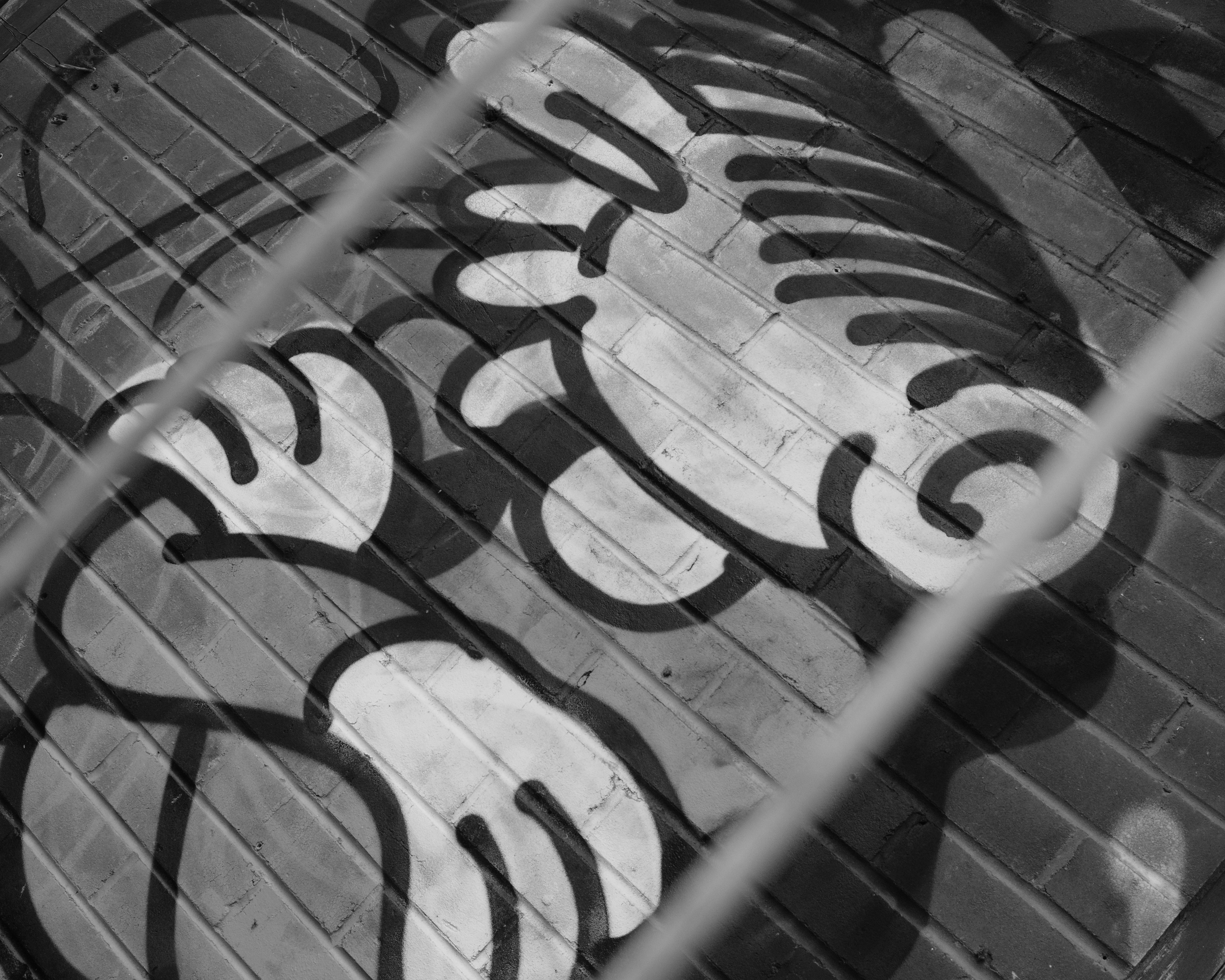 Interwoven Glyphs in Motion