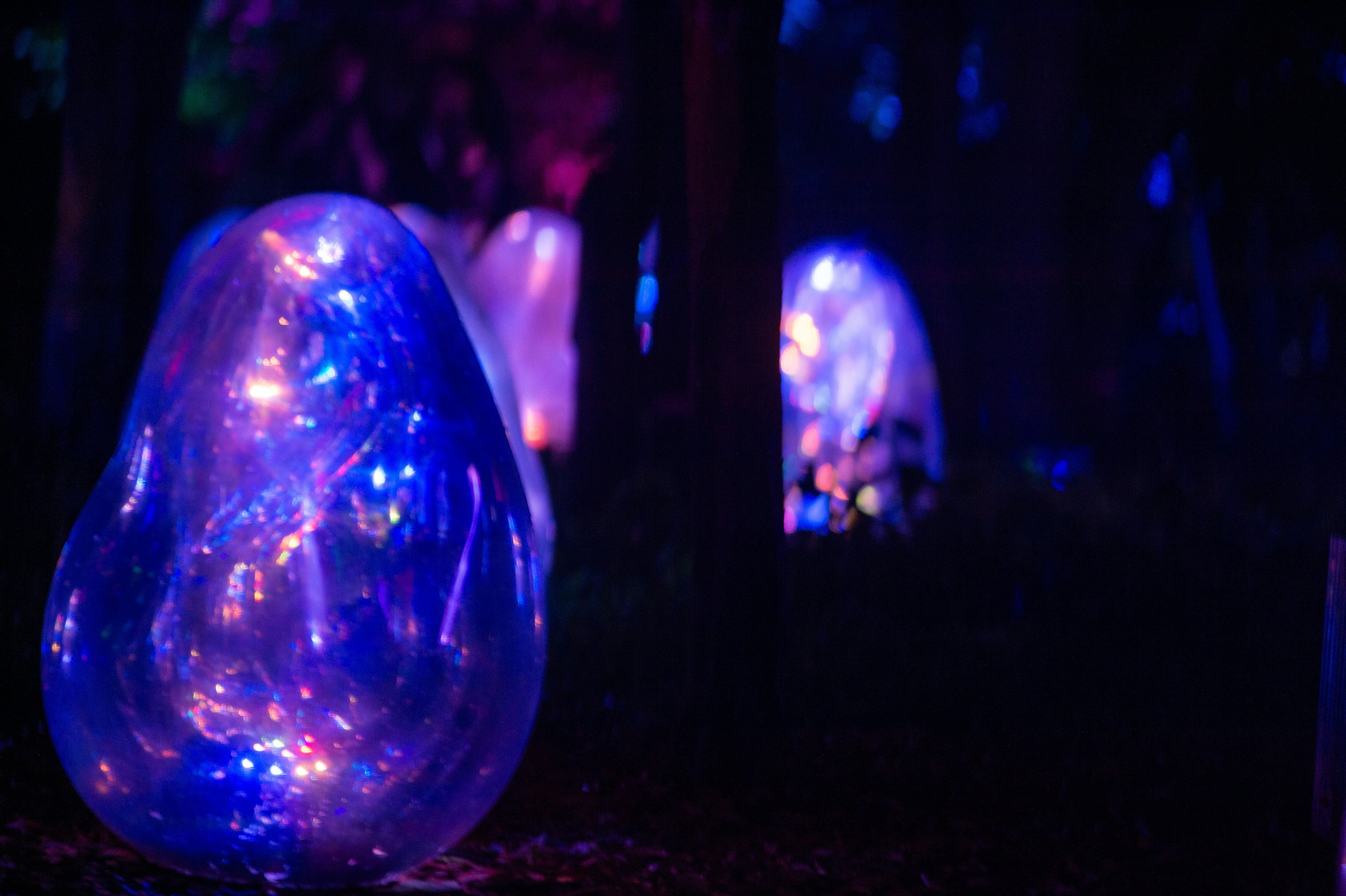 Glowing Orbs in a Velvet Night Forest
