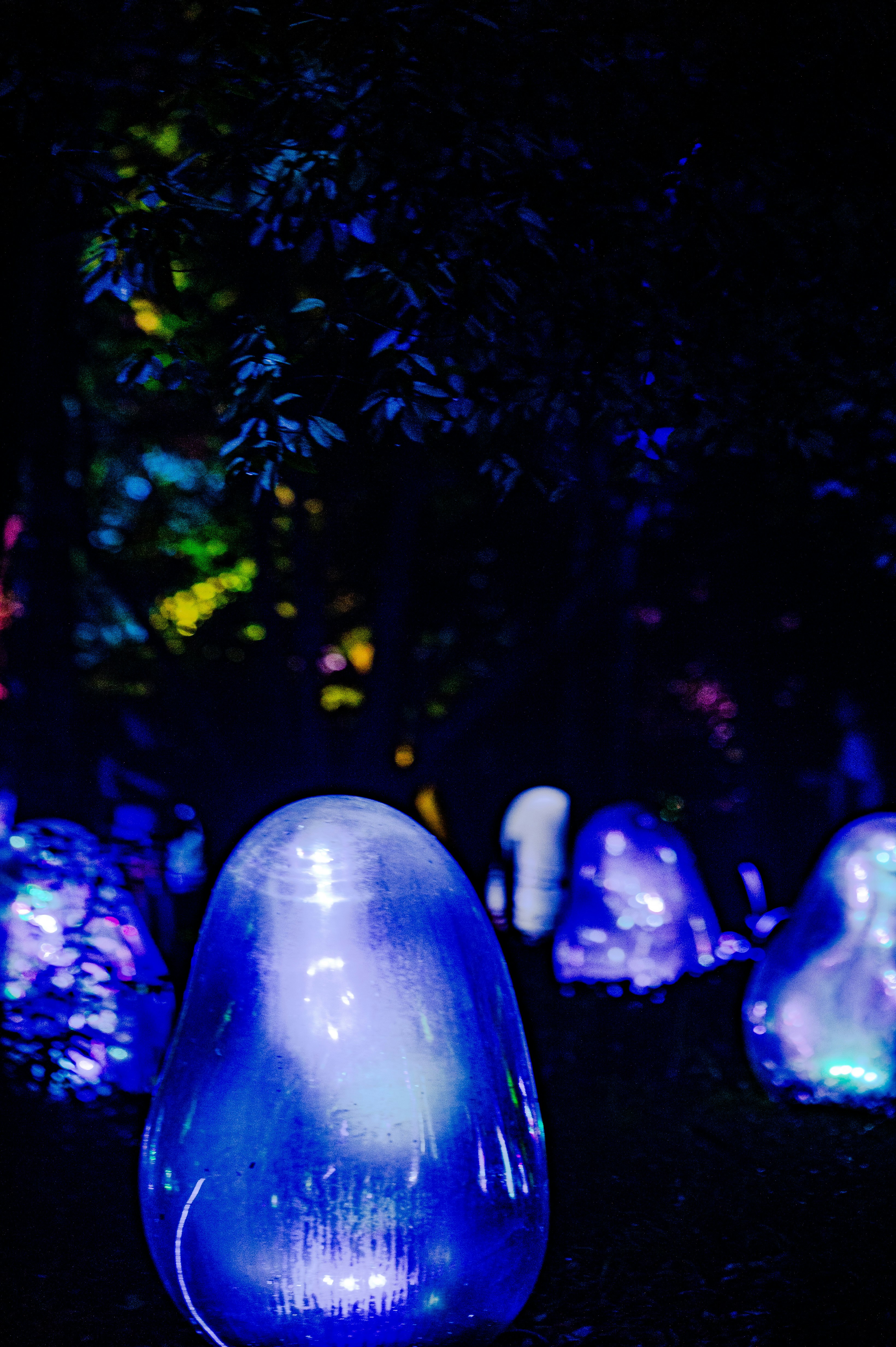 Luminous Gel Orbs Among Nightfall Foliage