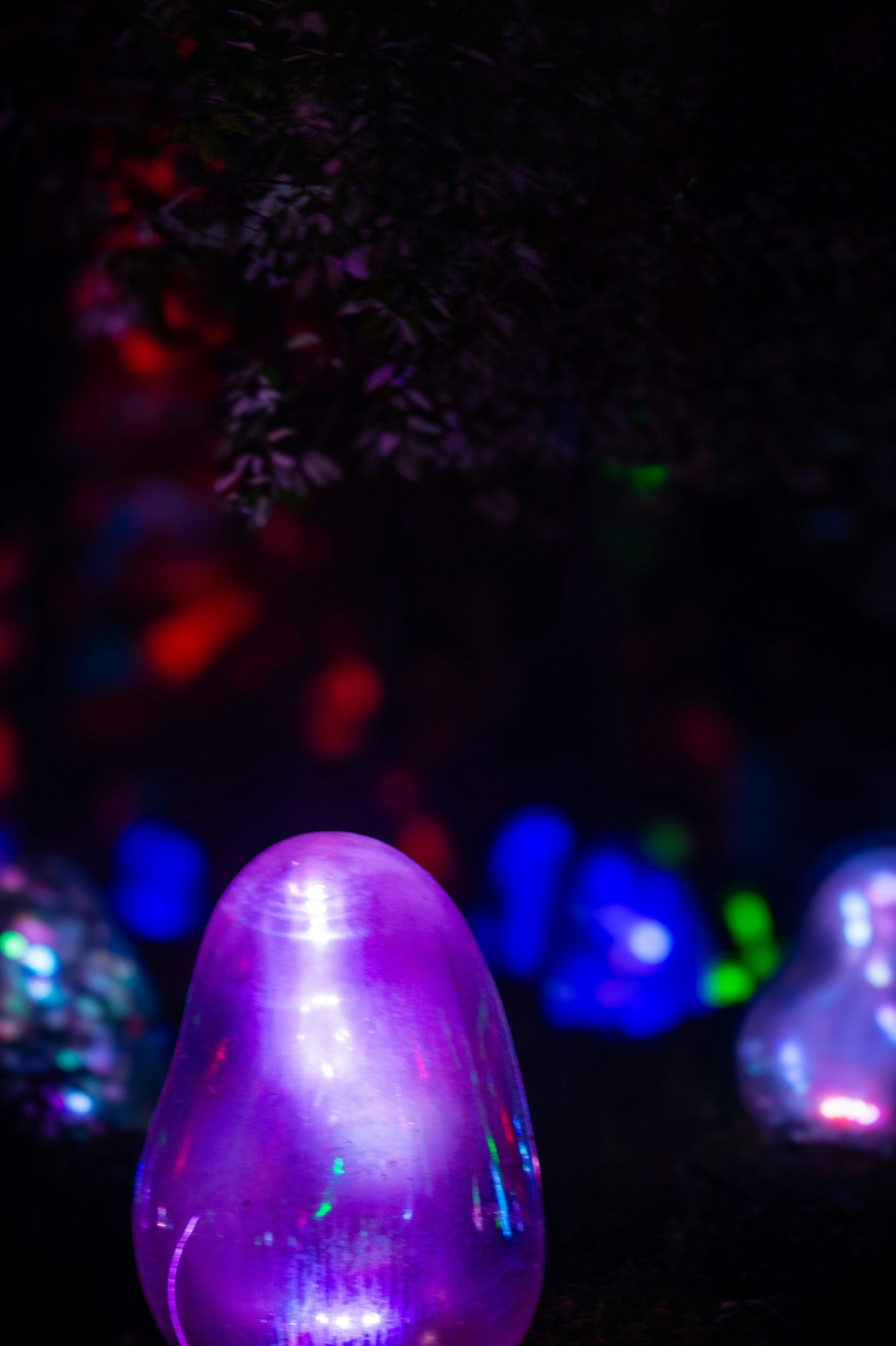 Glowdrop: A Night of Neon Tulips