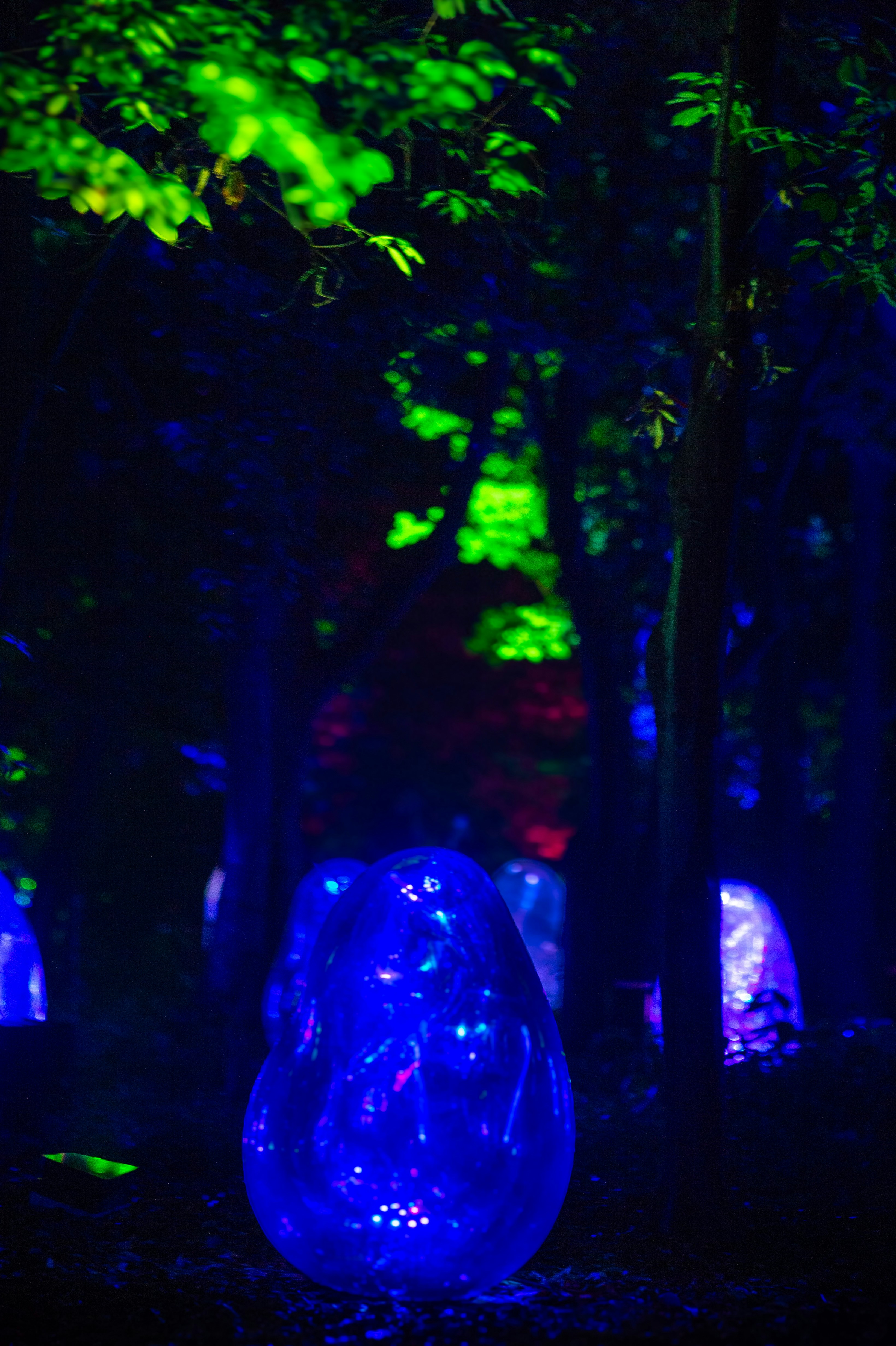 Glowing Glass Pears in a Moonlit Forest Night