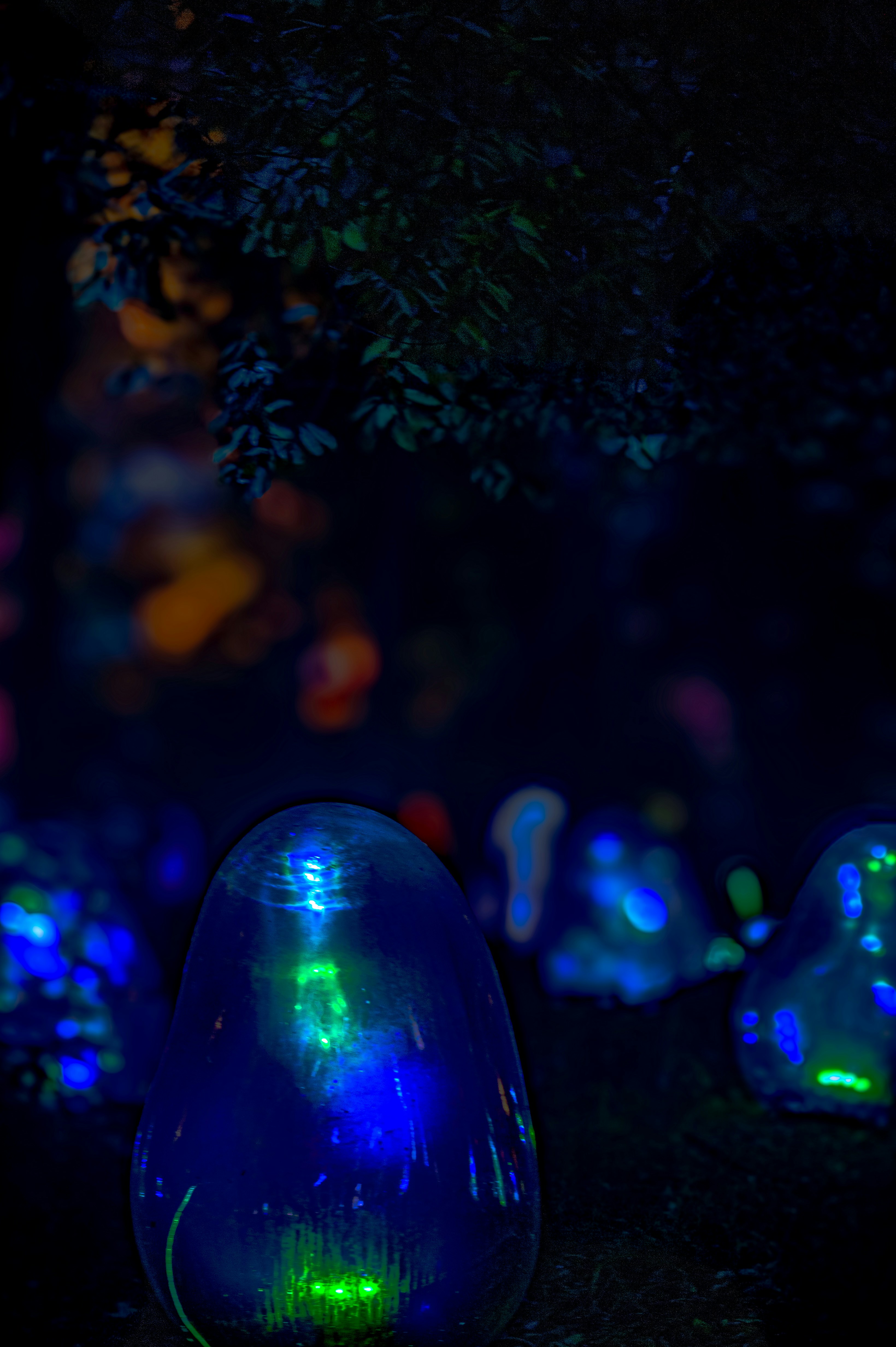 Colorful glass orbs light up a dark garden scene with soft bokeh and deep blue tones. The foreground features a prominent egg-shaped glow, suggesting an art installation in a nighttime exhibit.