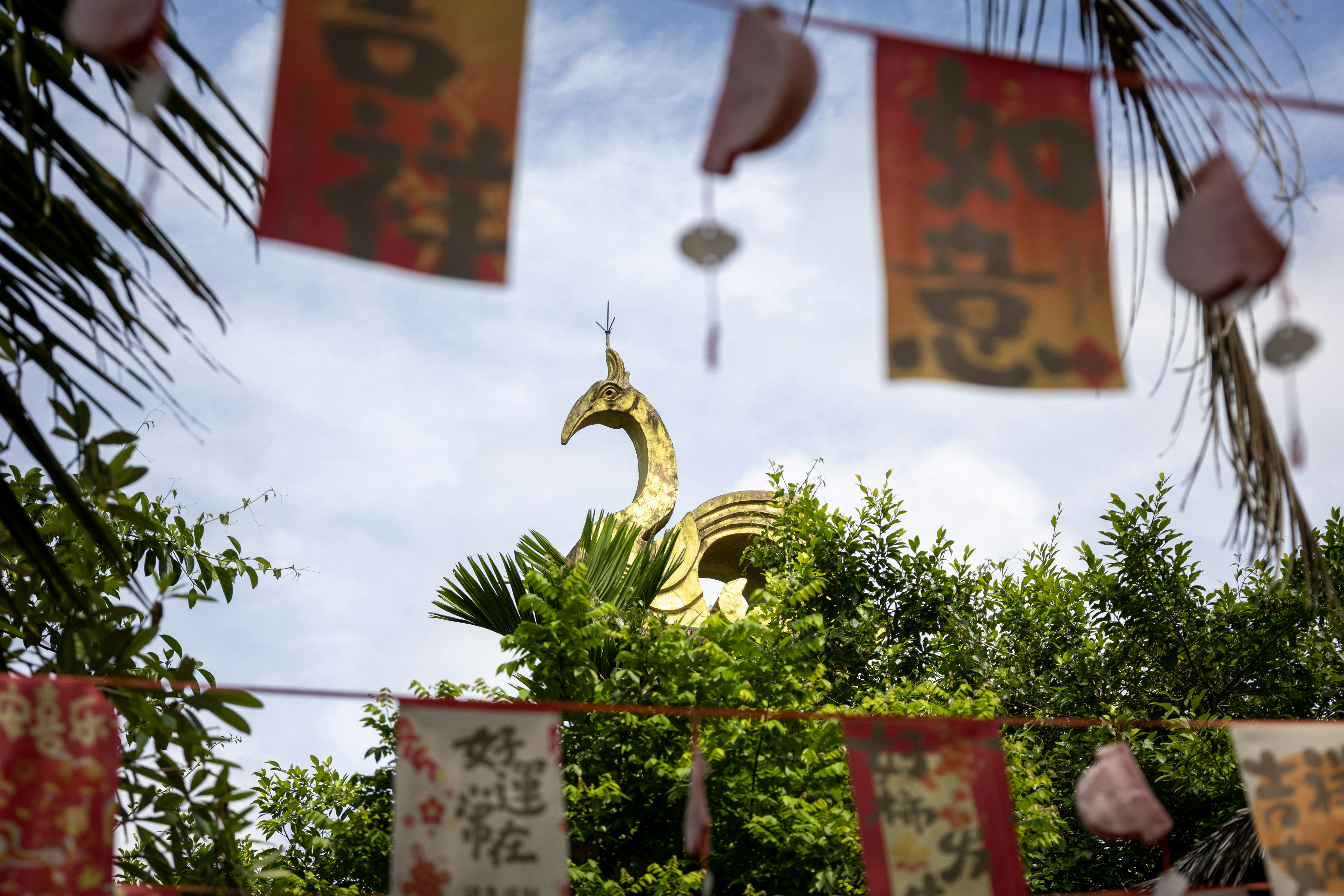 Gold Dragoncrest rising above lanterns in a sunny courtyard