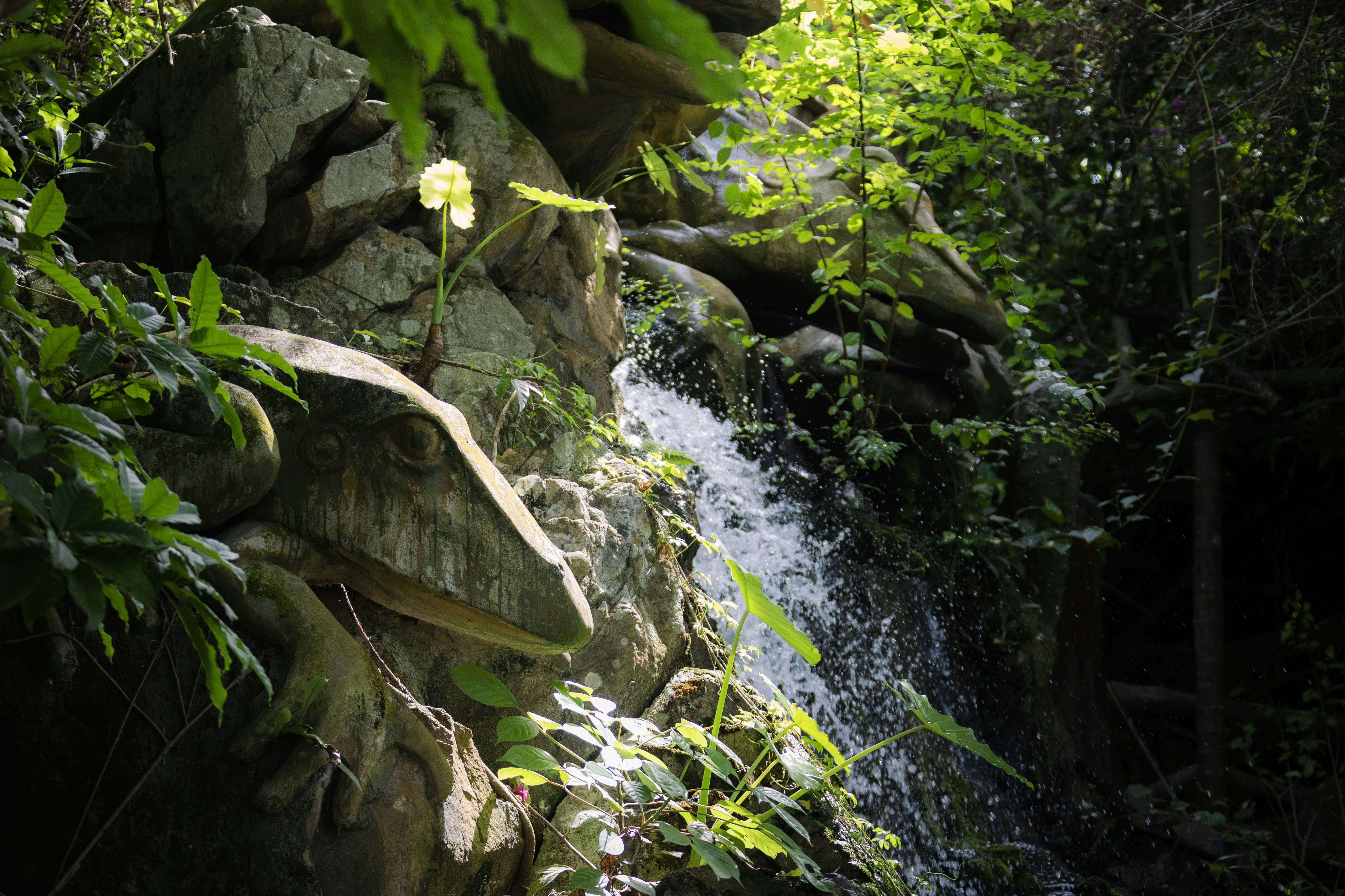 Whispering Cascade Between Quiet Stones