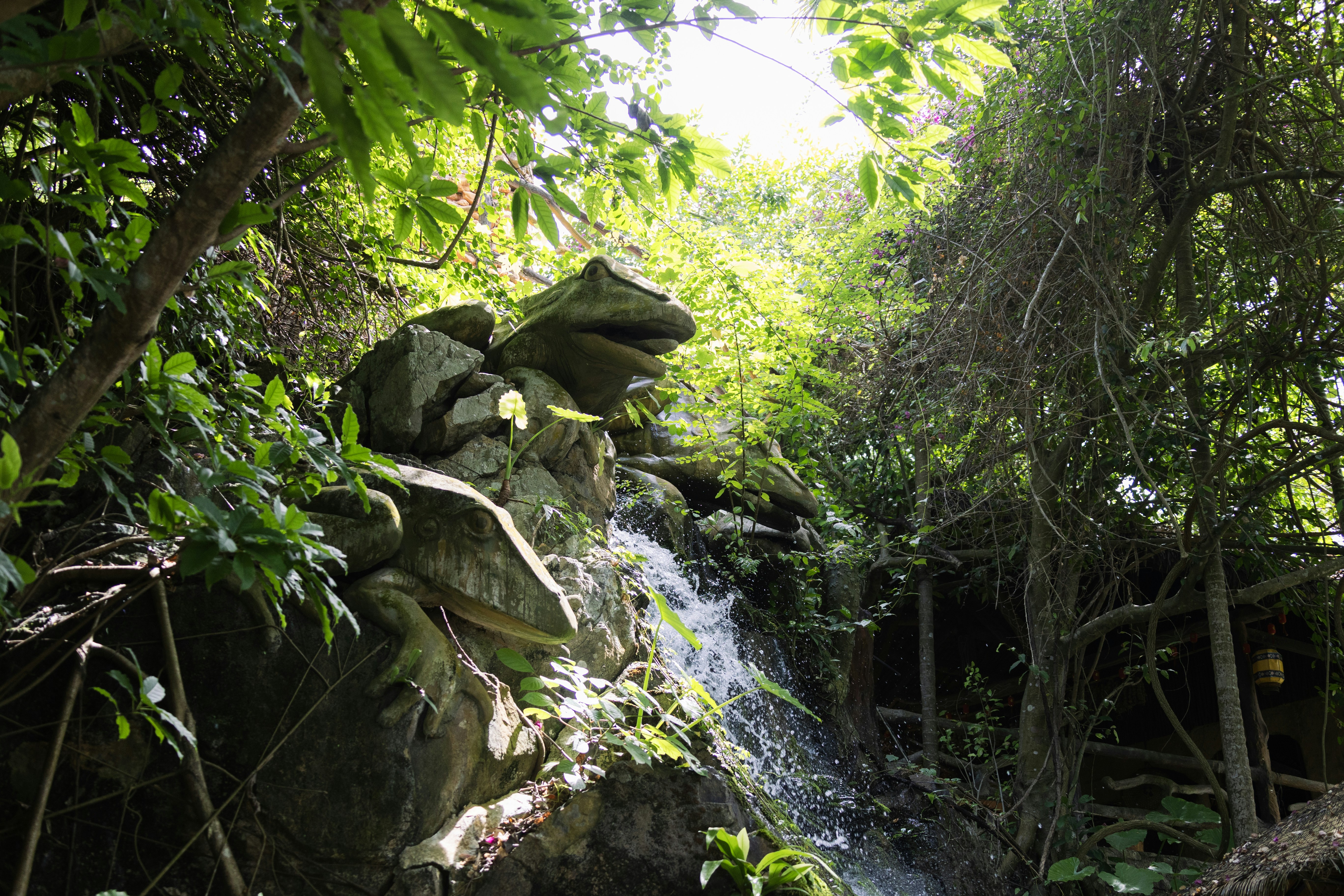 Whispering Cascade: Mossy Stones and Sunlit Canopy