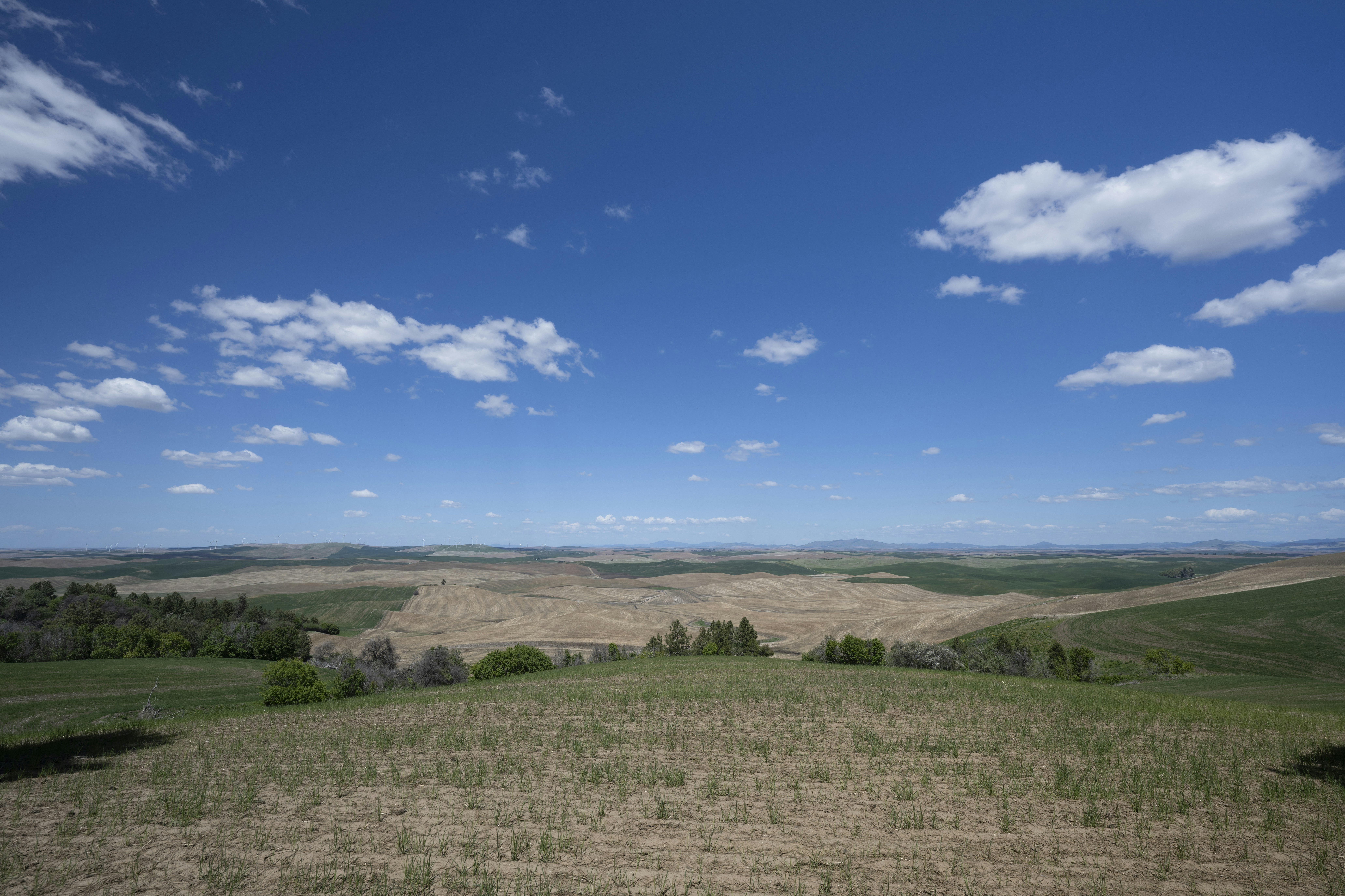 Vast Rolling Plains under a Crisp Spring Sky