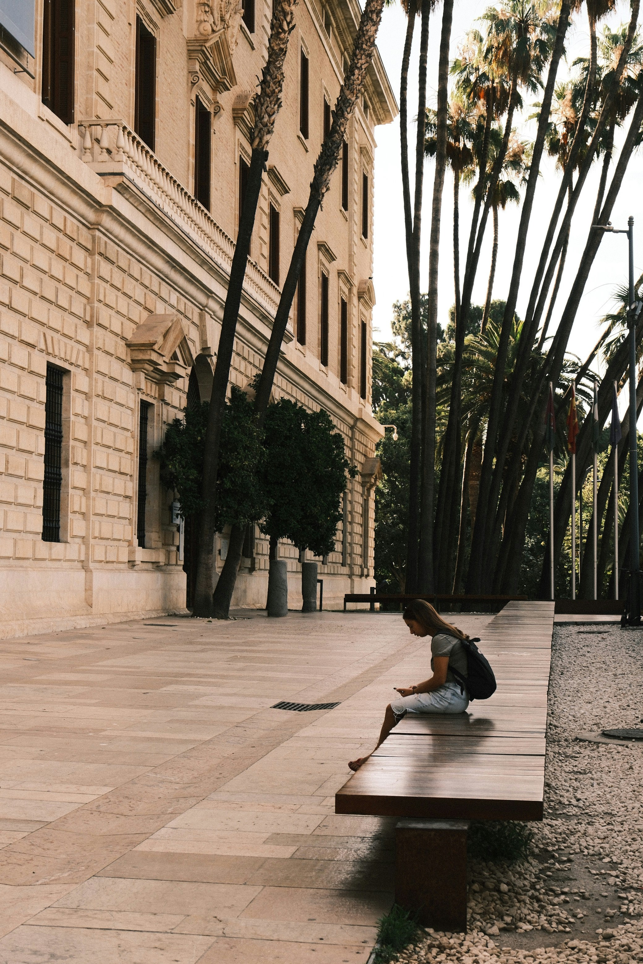 Solitary Reader on a Wooden Bench Beneath Palm Shadows